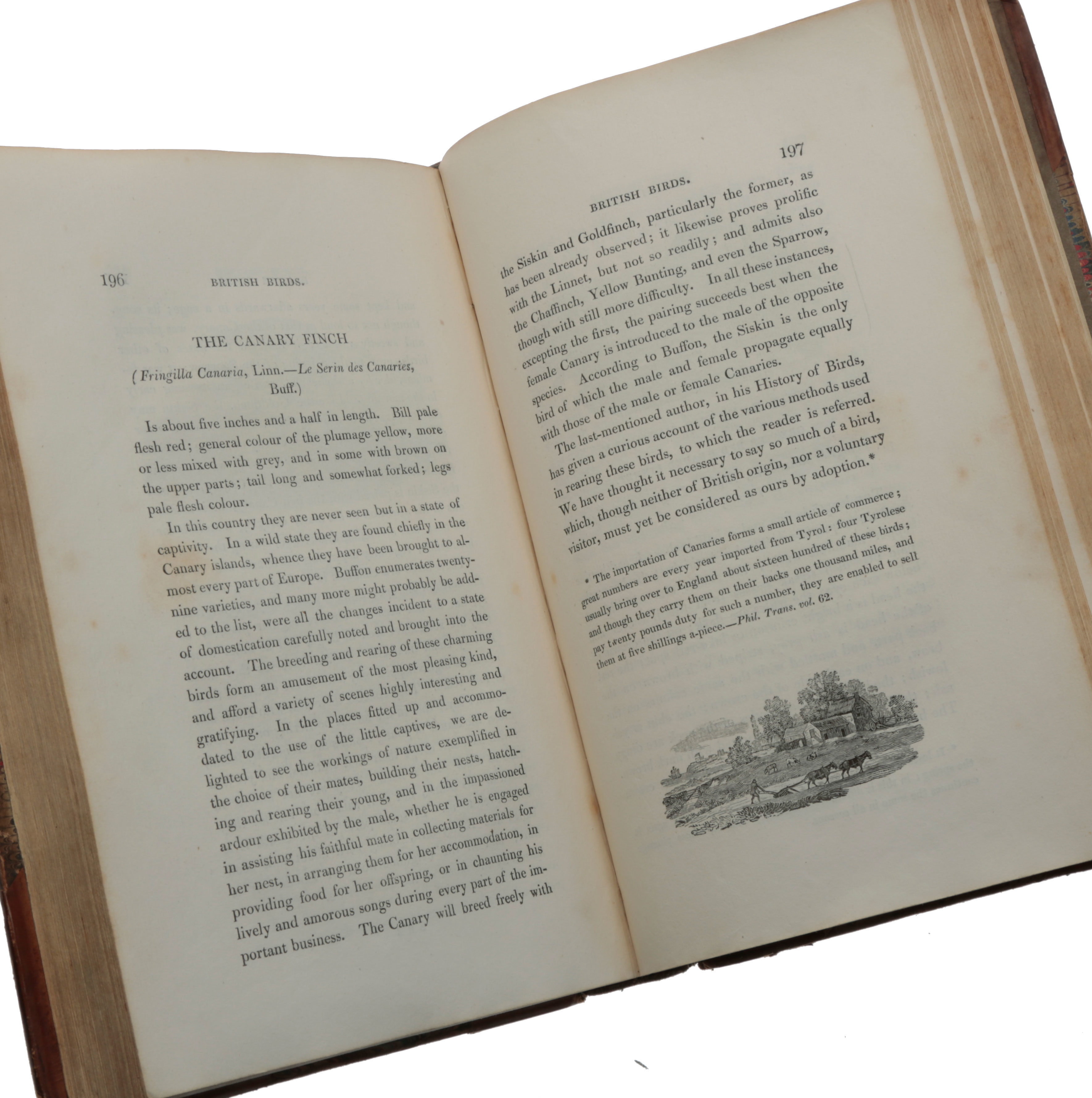 A History of British Birds. Vol. I, Land Birds, Eighth edition; Vol. II ...