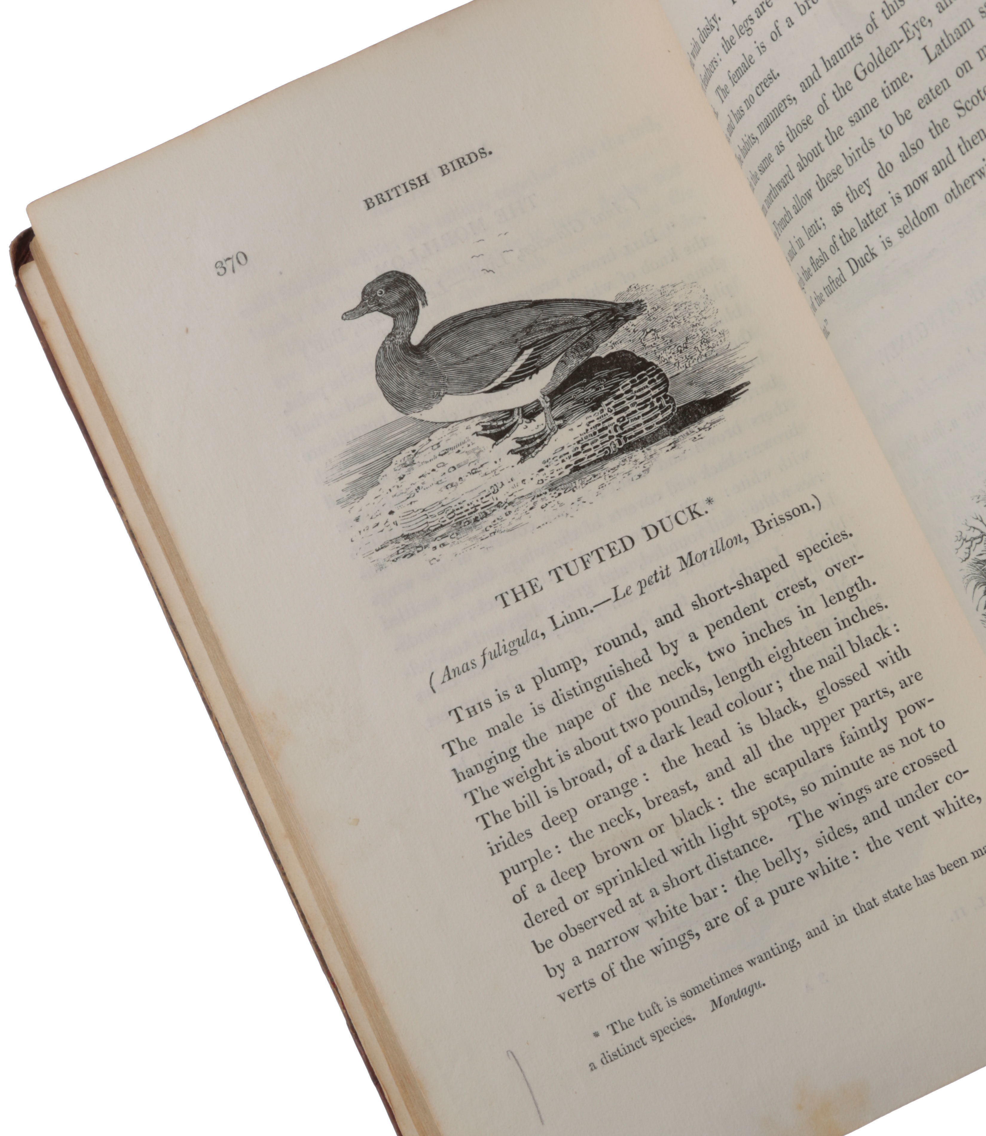 A History of British Birds. Vol. I, Land Birds, Eighth edition; Vol. II ...