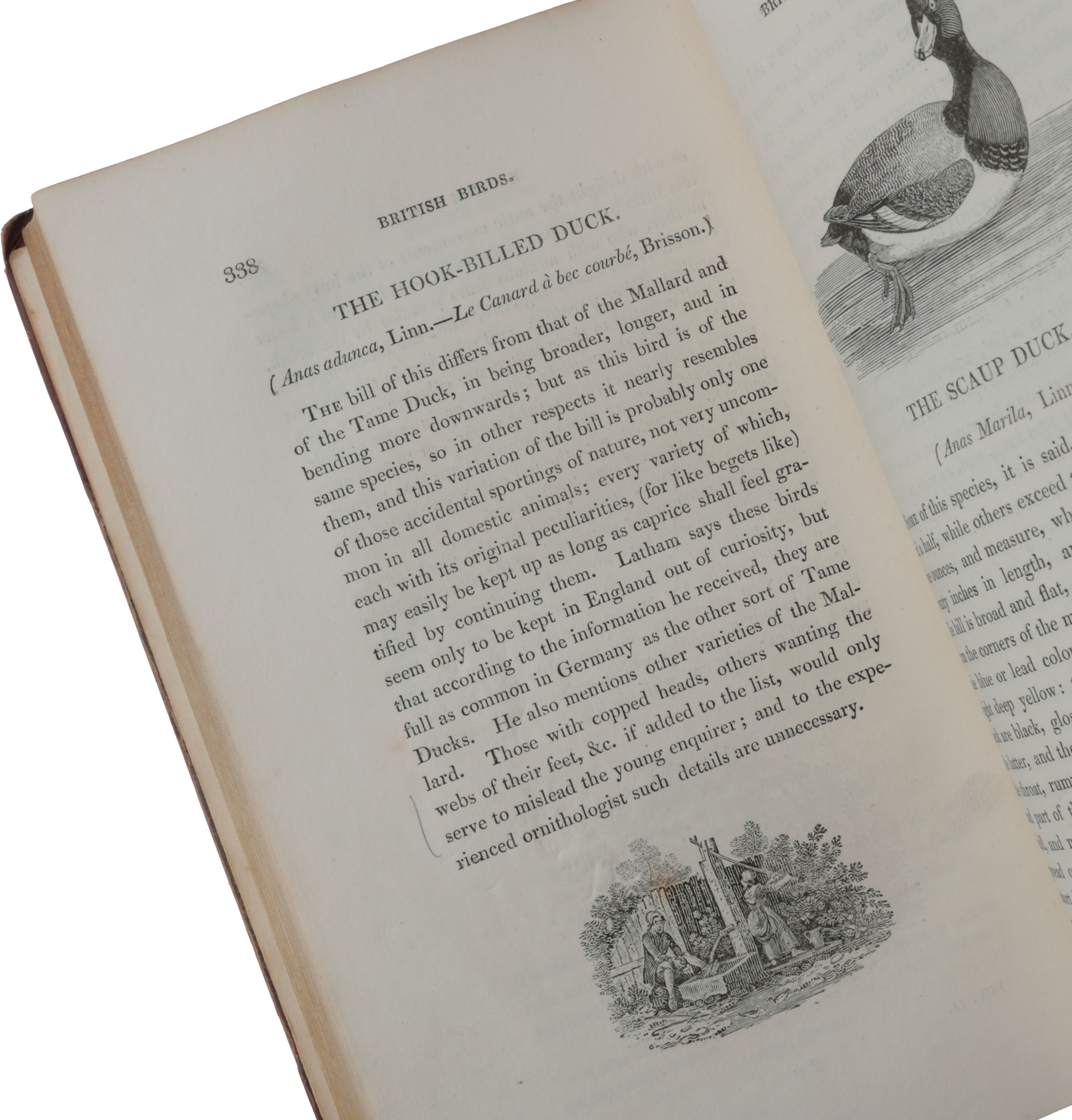 A History of British Birds. Vol. I, Land Birds, Eighth edition; Vol. II ...