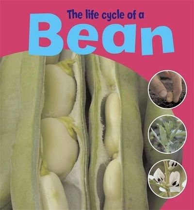 Learning About Life Cycles: The Life Cycle Of A Bean by Thomson, Ruth ...