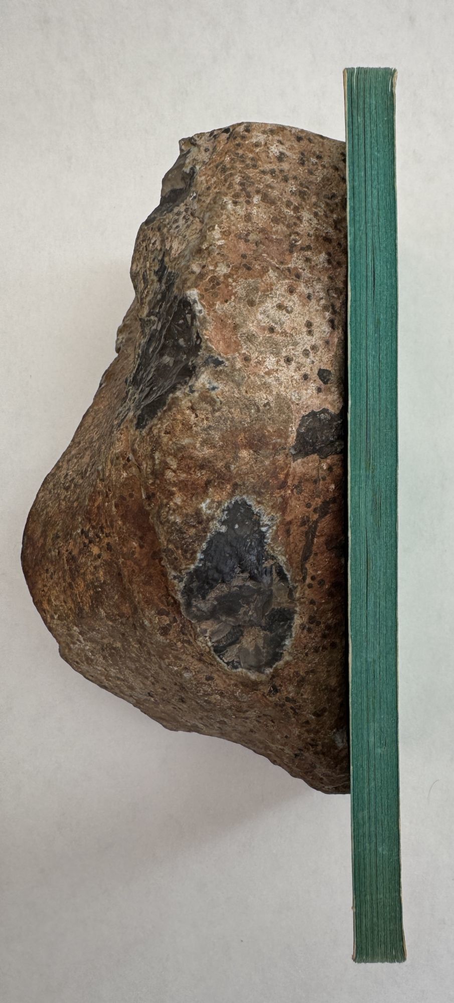 The Green Hornet in the Infernal Light by Friend, Ed | Paperback | 1966 ...