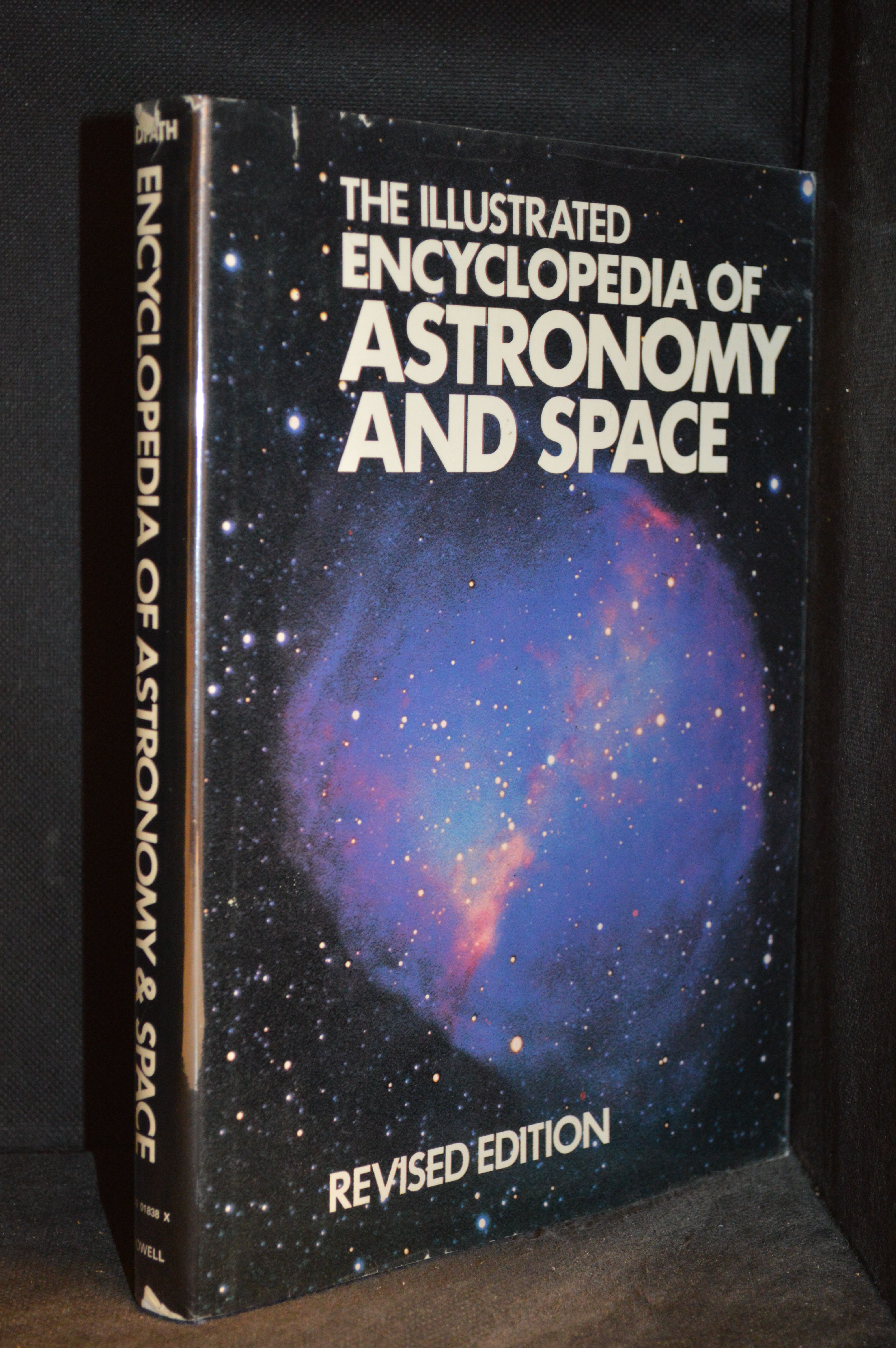 Astronomy White Book