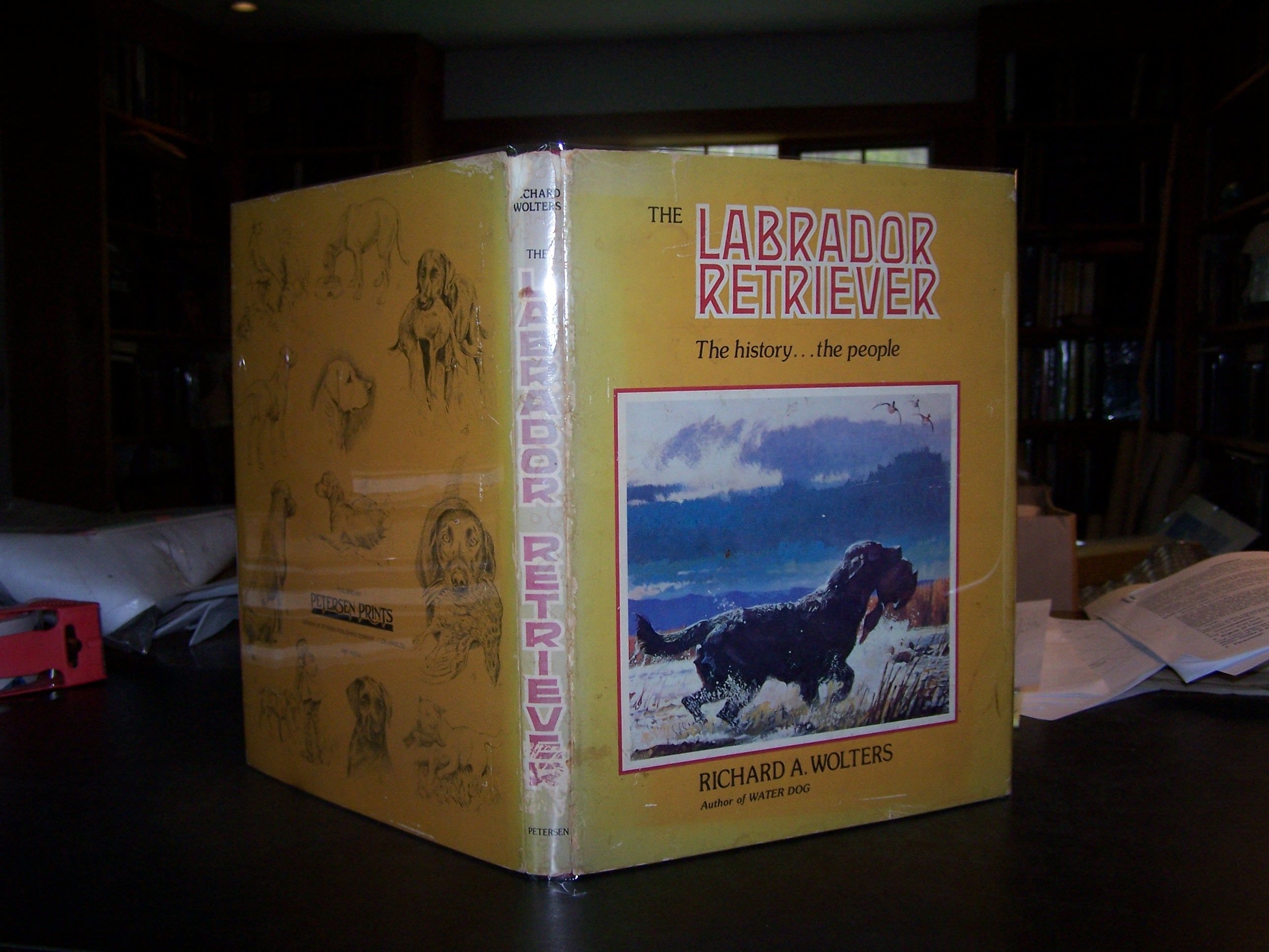 The Labrador Retriever The History...The People and Beloved Dog 2 Books ...