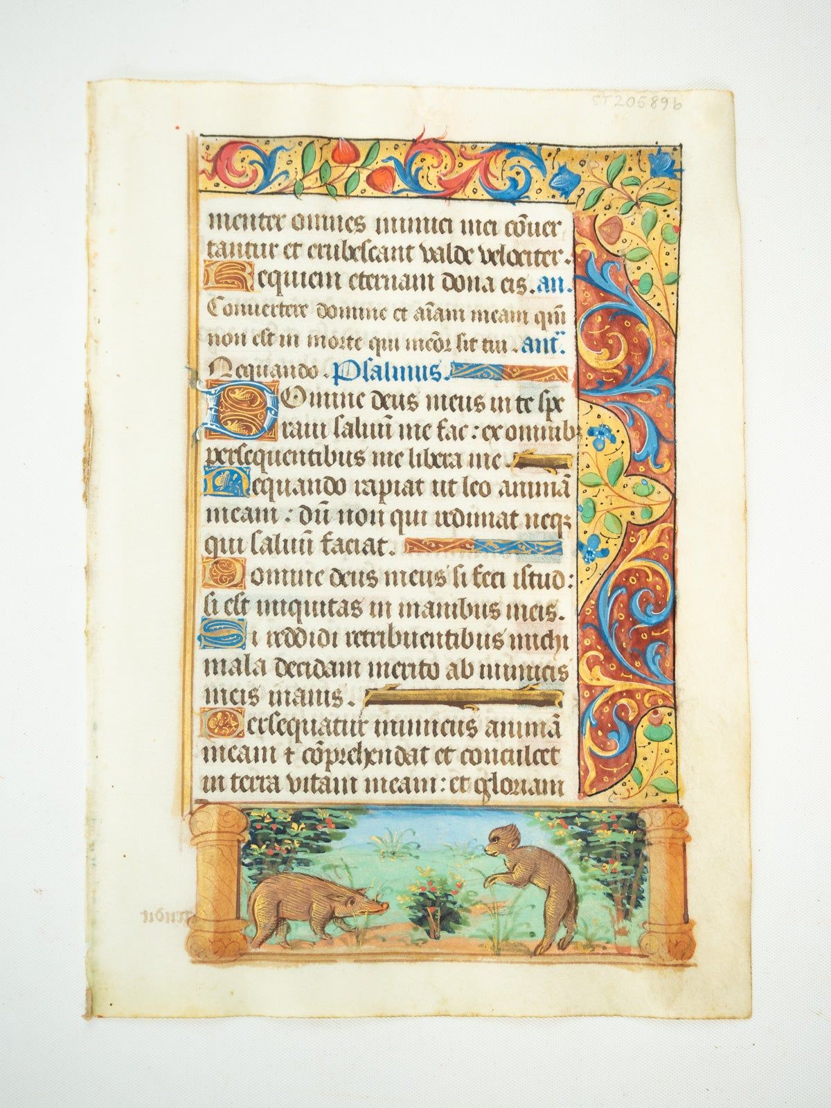 TEXT FROM THE OFFICE OF THE DEAD by A MEDIEVAL ILLUMINATED VELLUM ...
