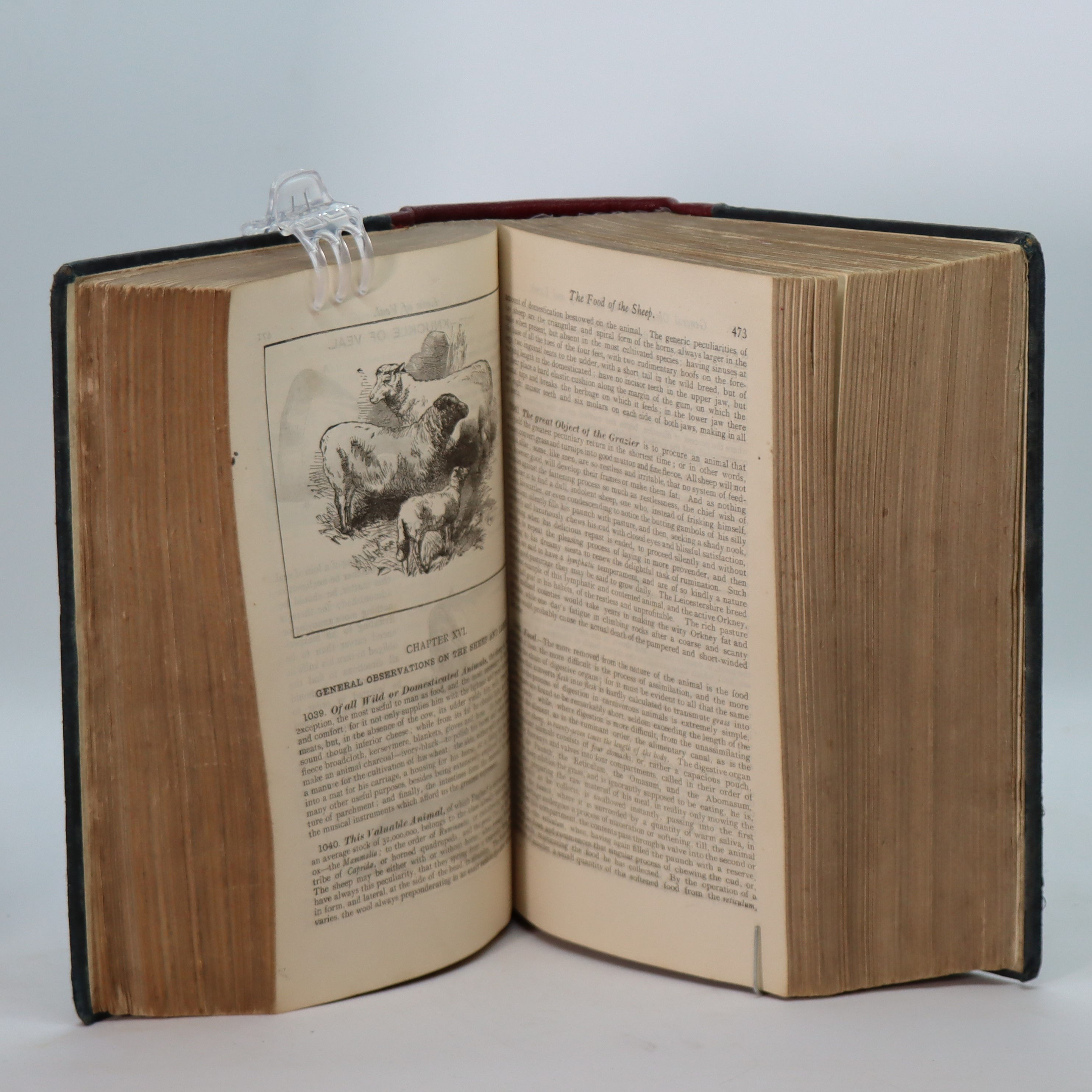 Mrs Beeton's Book of Household Management. by Mrs Isabella Beeton ...