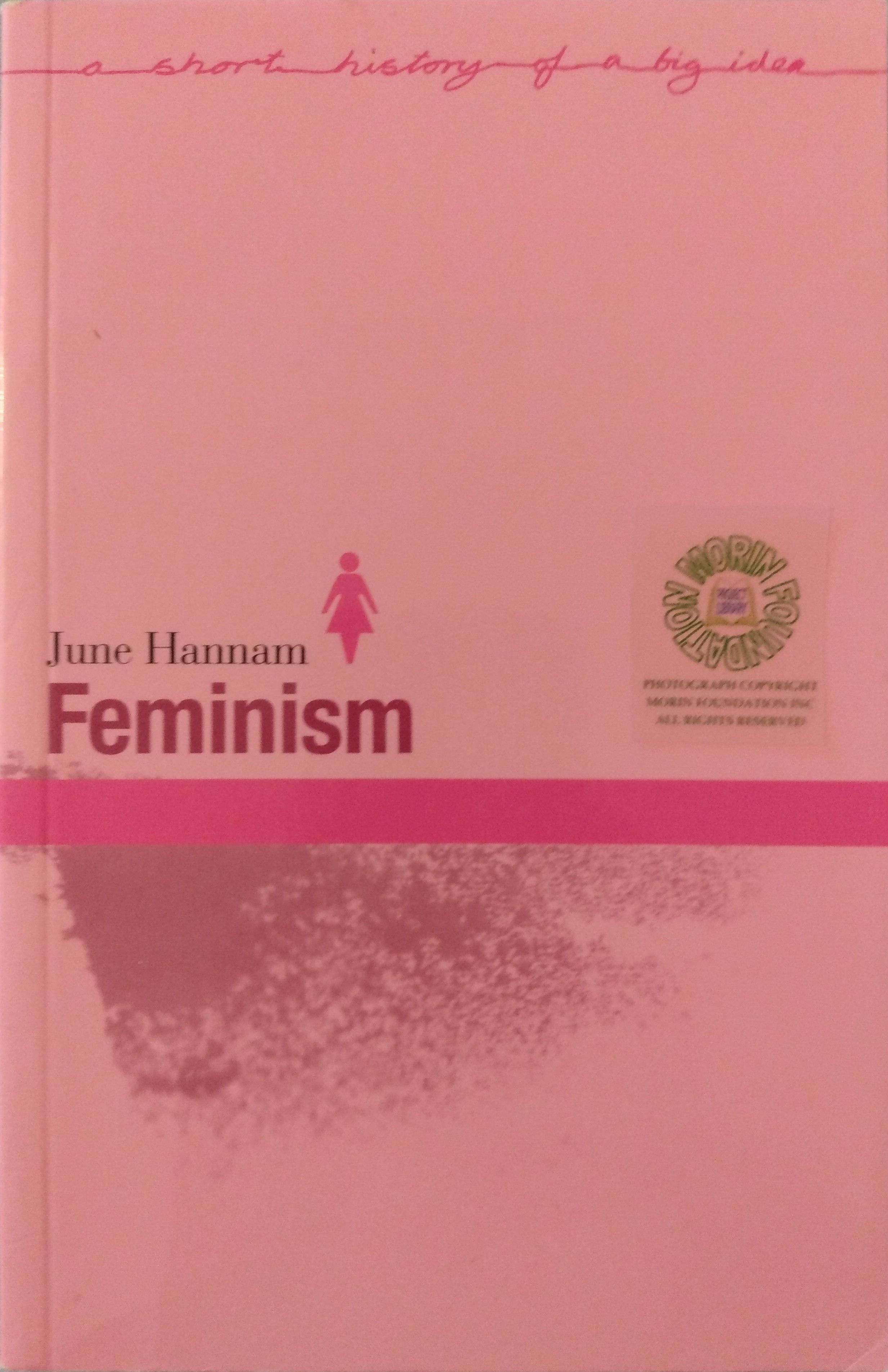 Feminism by Hannam, June | Paperback | 2007 | Pearson Longman 1st ...
