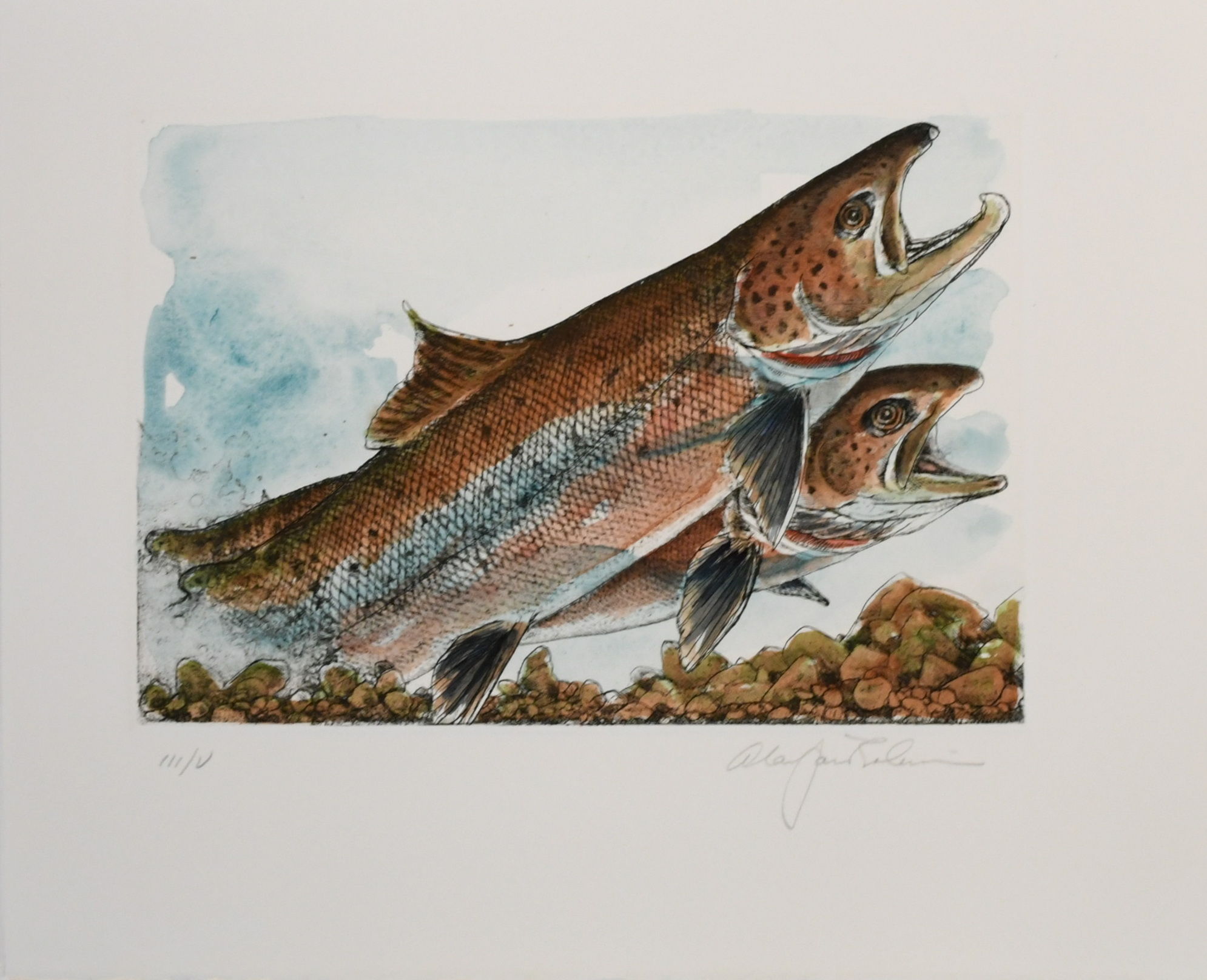 [SPECIAL PRESS] ATLANTIC SALMON by Alan James Robinson | Stephen Bodio ...