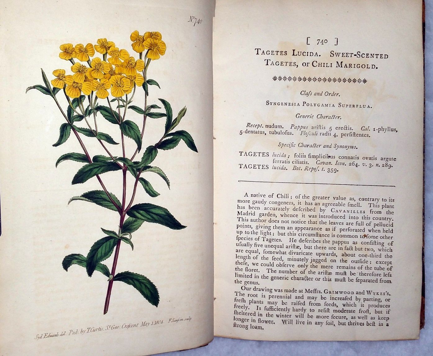 Curtis's Botanical Magazine; or, Flower-Garden Displayed... [bound with ...