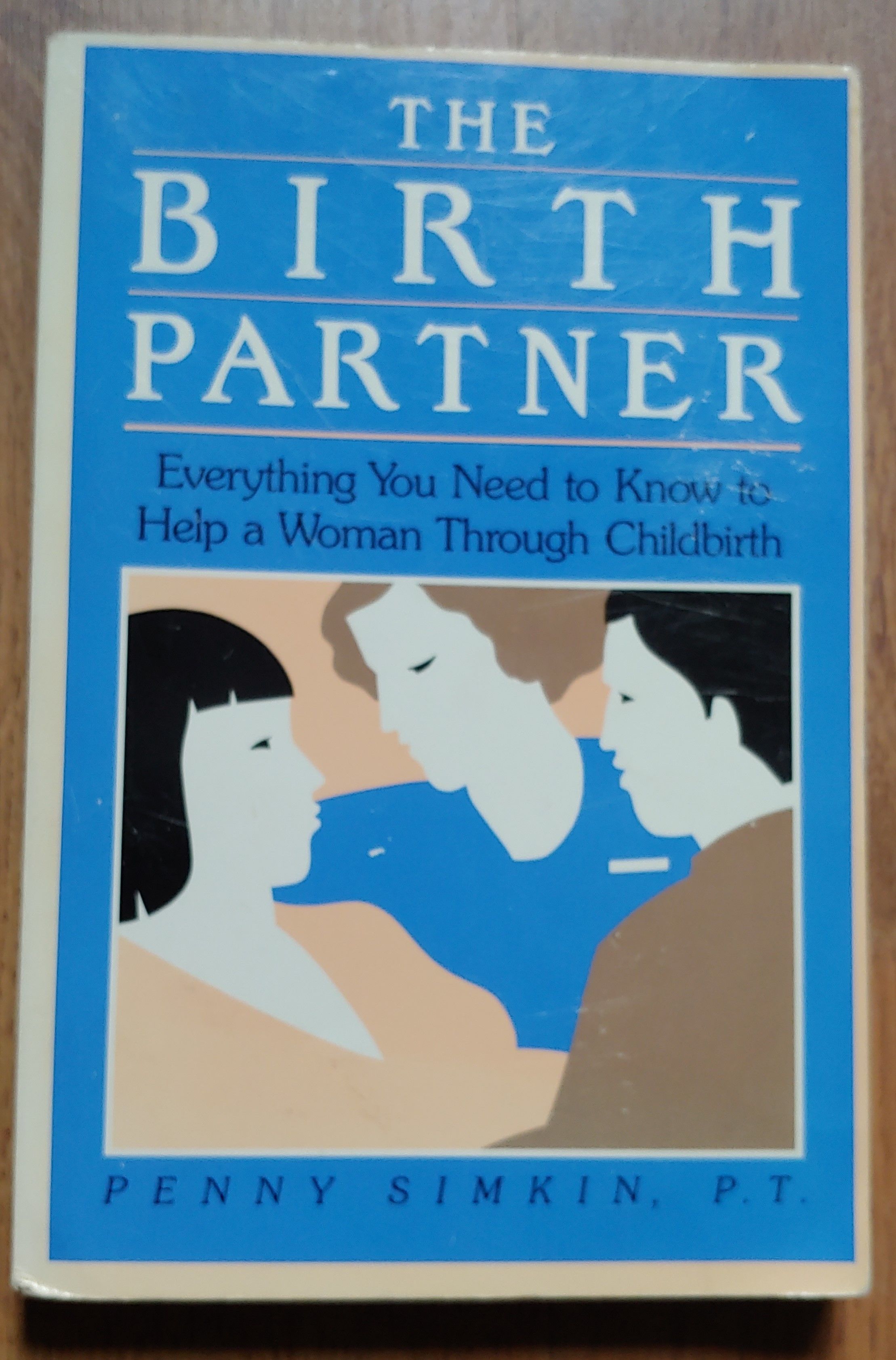 The Birth Partner Everything You Need to Know to Help a Woman Through ...