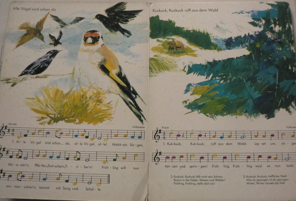 Ri-ra-rutsch und andere bekannte Kinderlieder. Mit bunten Noten für ...