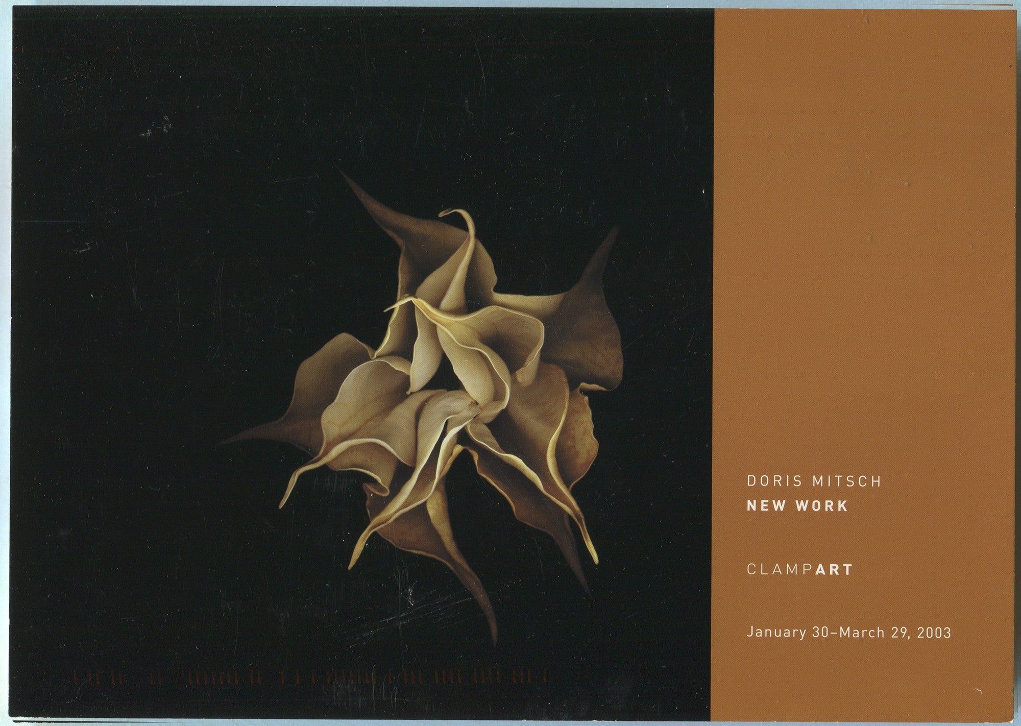 [Exhibition Invitation]: Doris Mitsch: New Work, Clampart, January 30 ...