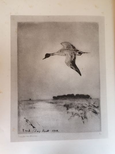 The Long Point Company by Thompson, Lewis S | Green and Gilt Cloth ...