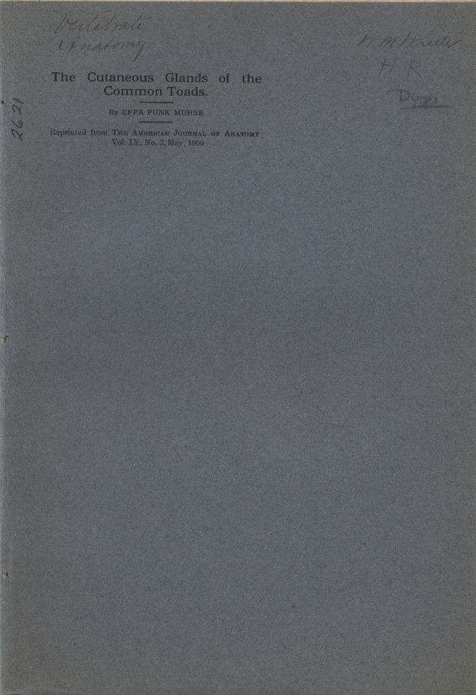 The Cutaneous Glands of the Common Toads de Muhse, E. F | 1909 ...
