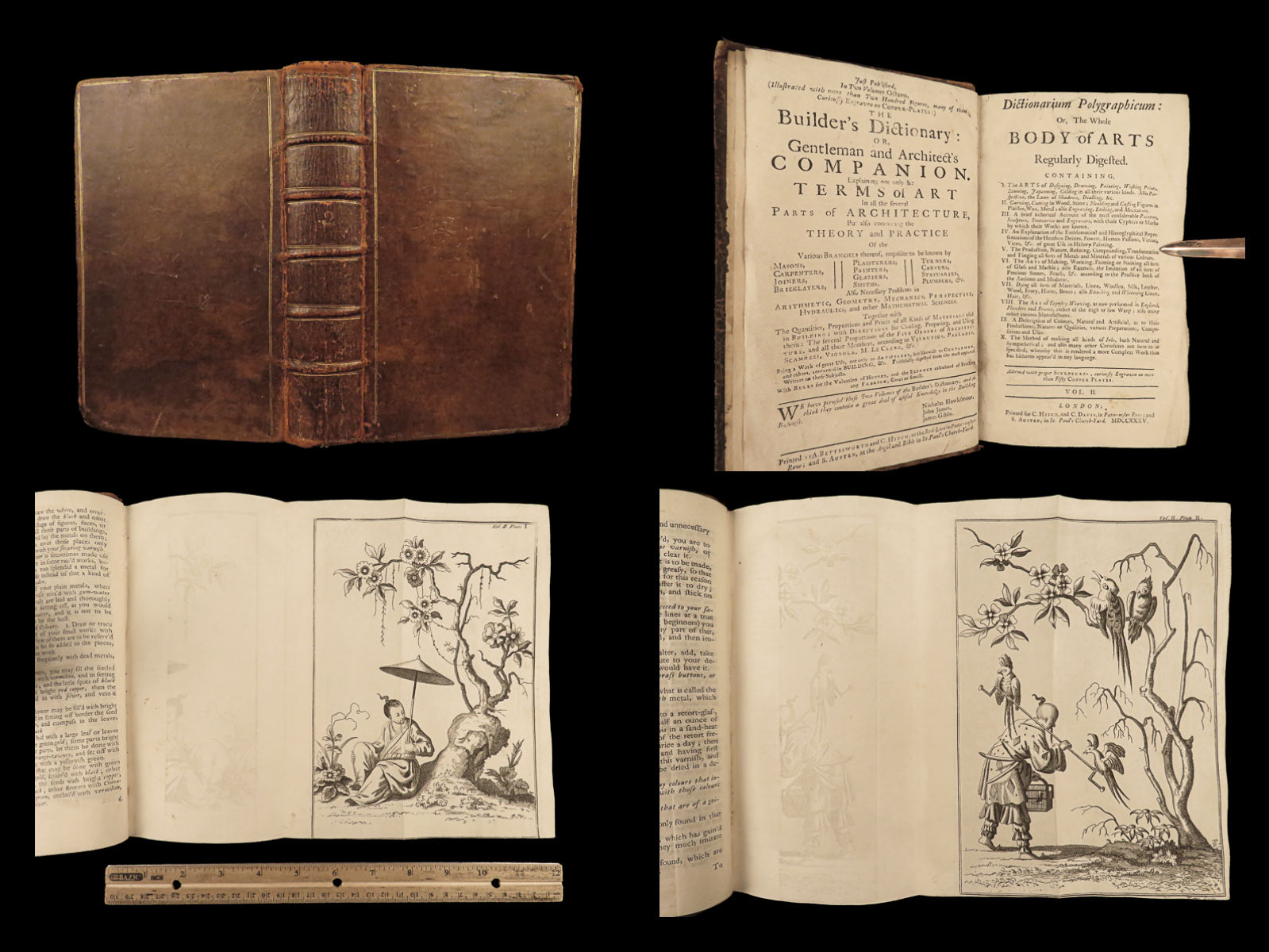 A genealogical history of the royal and illustrious family of the ...