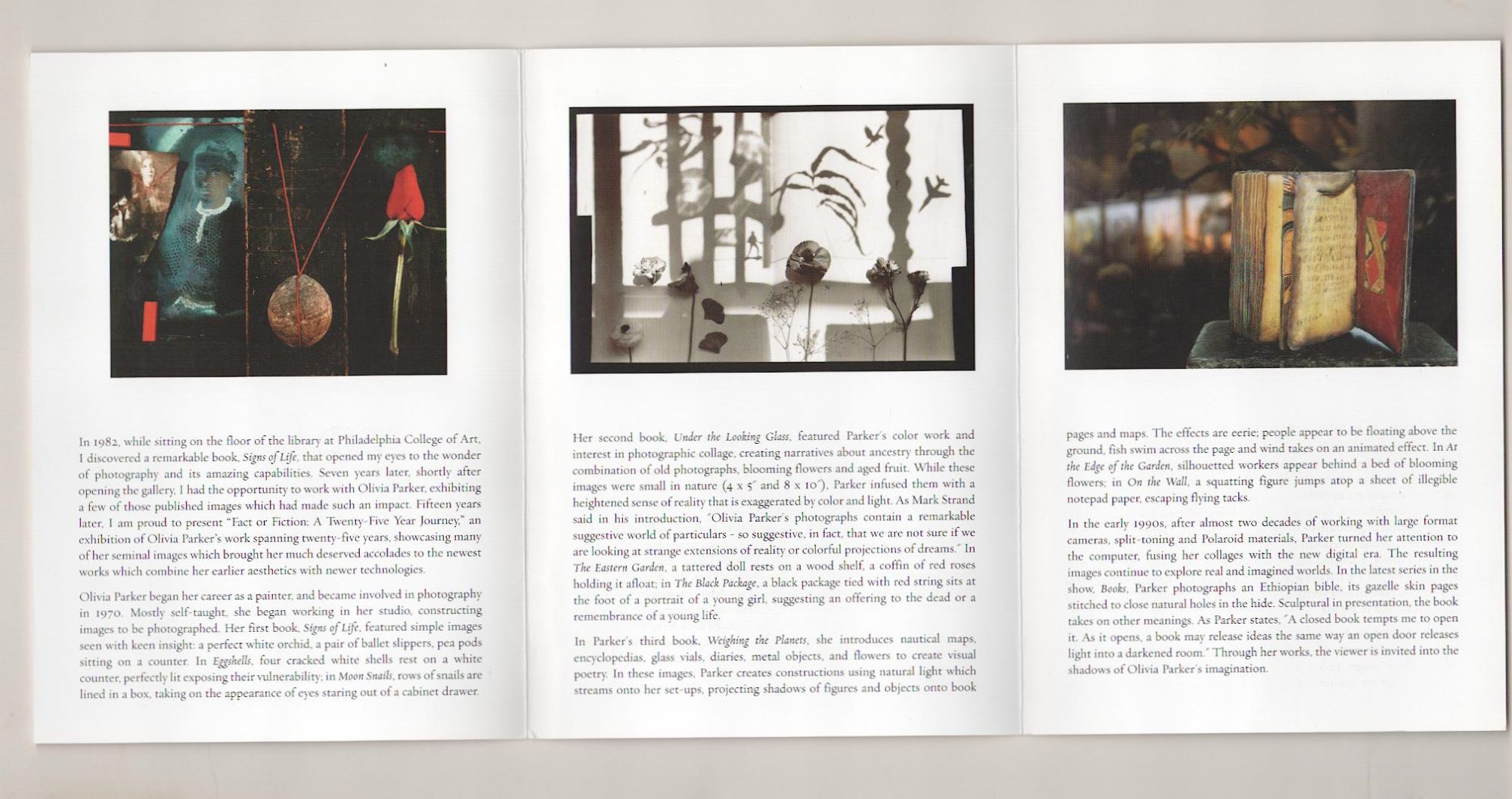 Fact or Fiction: A Twenty-Five Year Journey by Olivia and Catherine ...