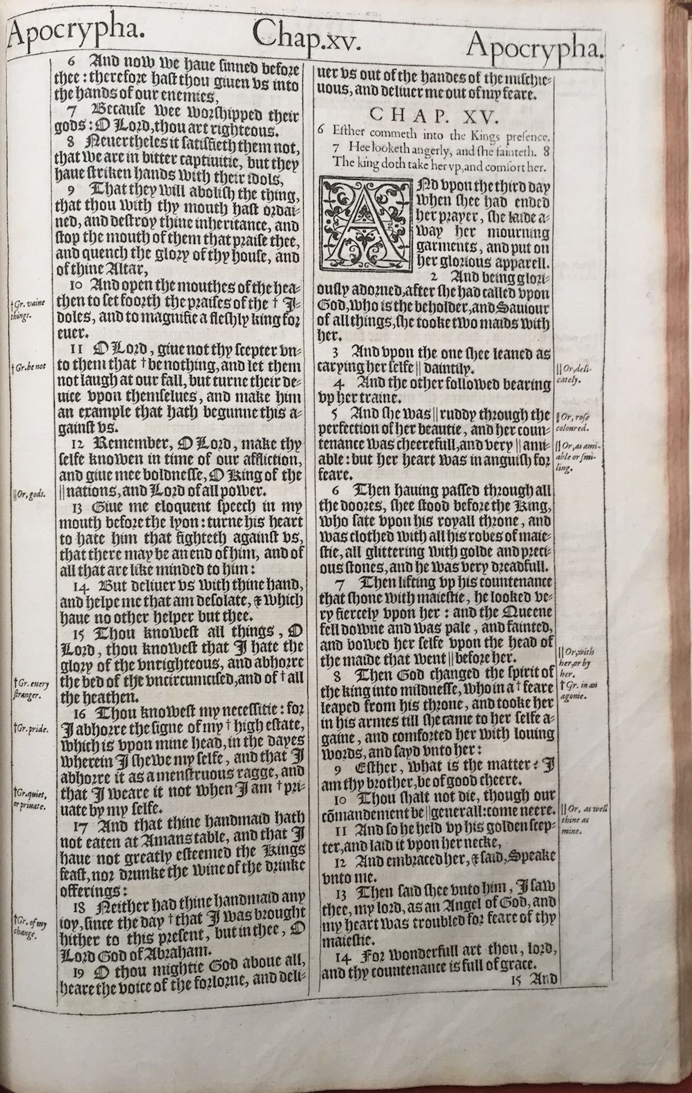 APOCRYPHA (1611 King James Bible) finely bound by [Bible] | Hardcover ...