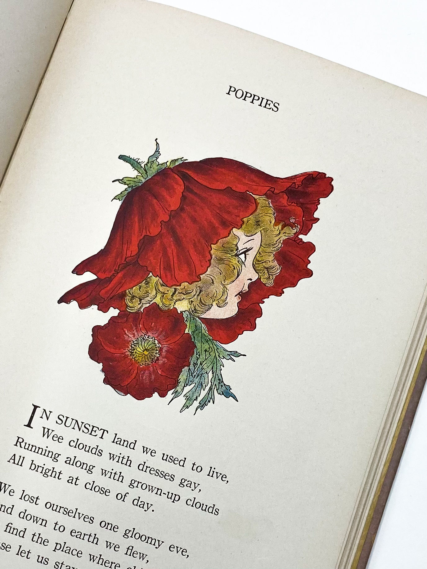 BIBLIO | THE FLOWER BABIES' BOOK by Scott, Anna Miller; Ross, M. T. [M ...