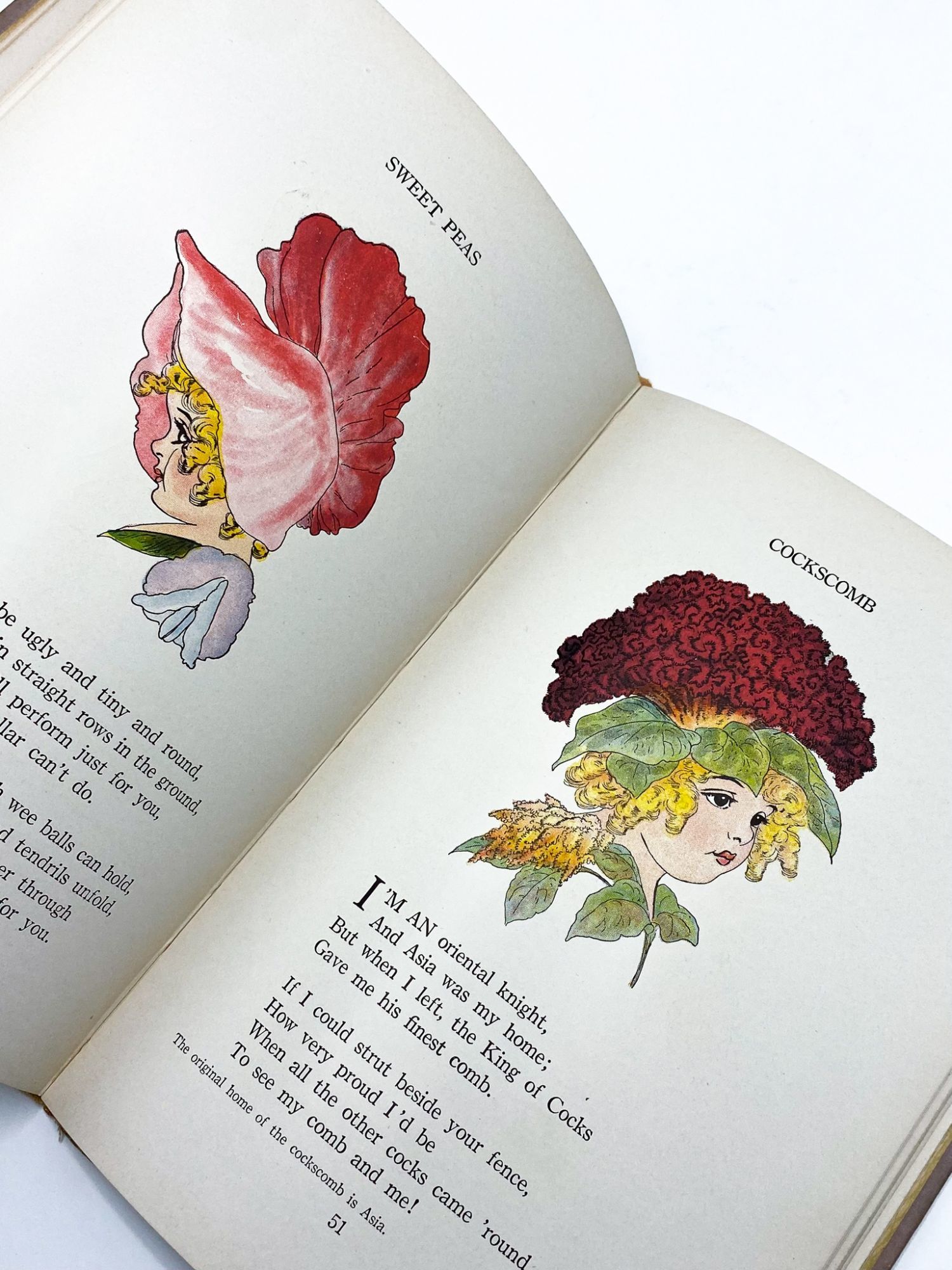 BIBLIO | THE FLOWER BABIES' BOOK by Scott, Anna Miller; Ross, M. T. [M ...
