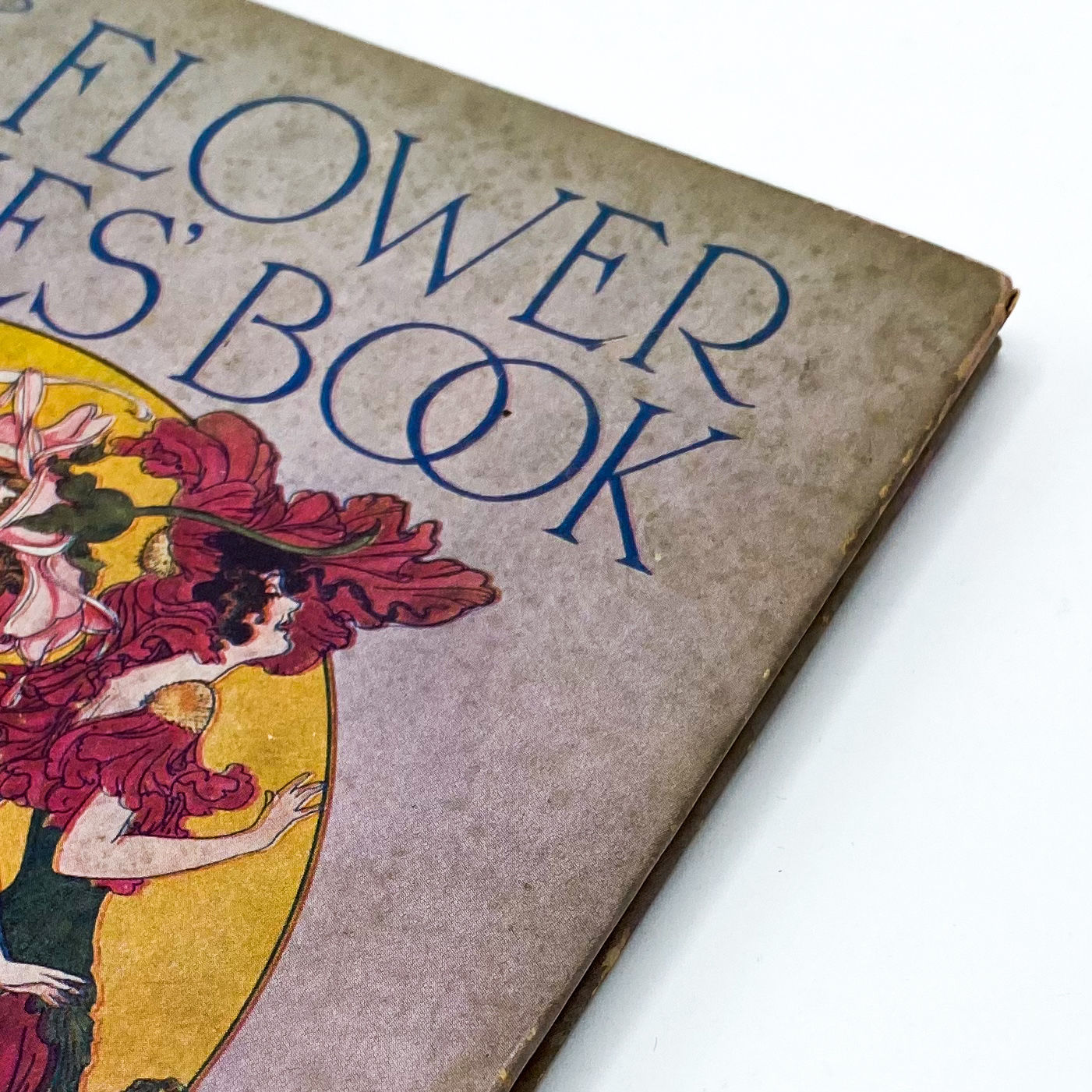 BIBLIO | THE FLOWER BABIES' BOOK by Scott, Anna Miller; Ross, M. T. [M ...
