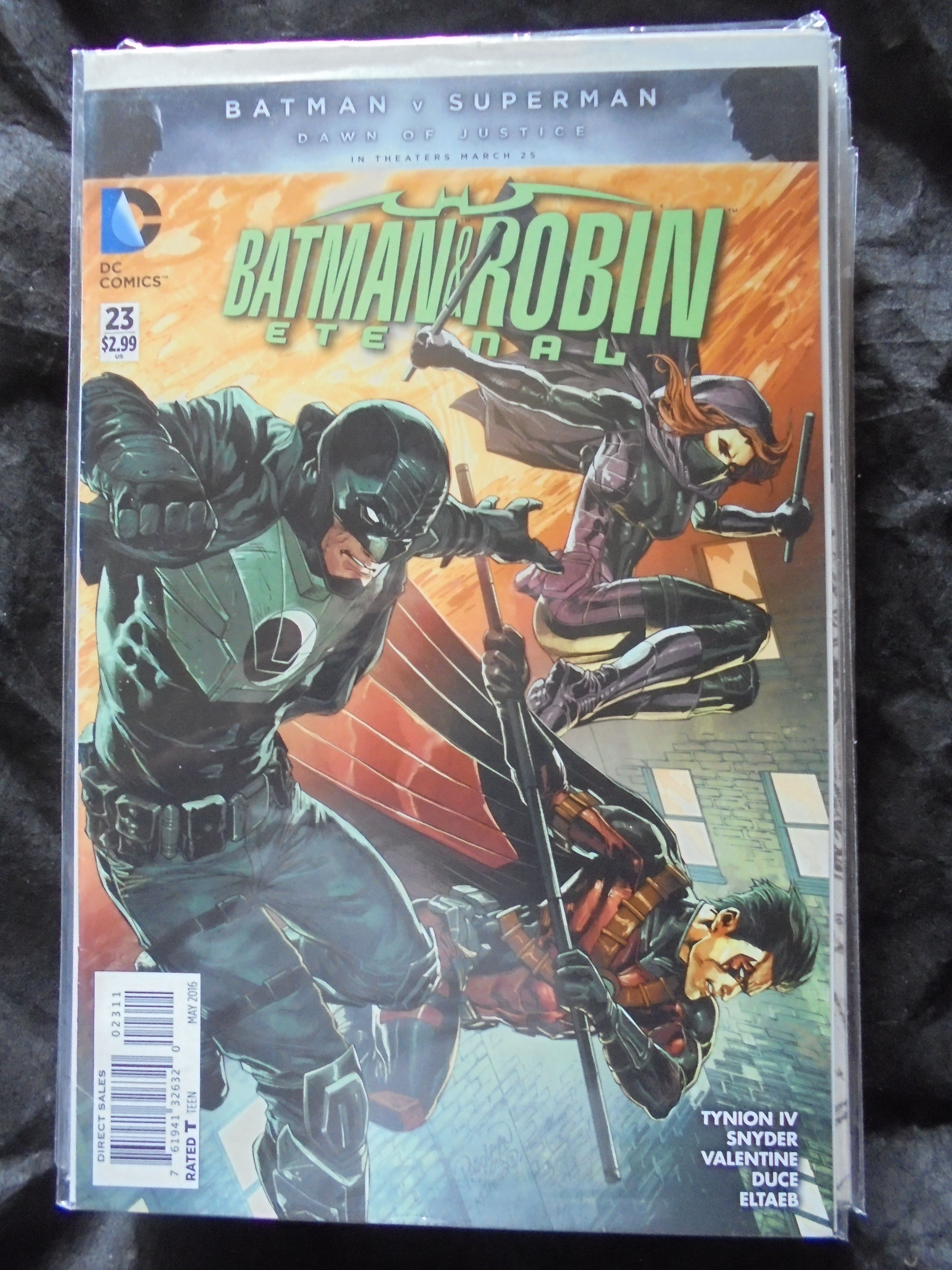 Batman And Robin 23