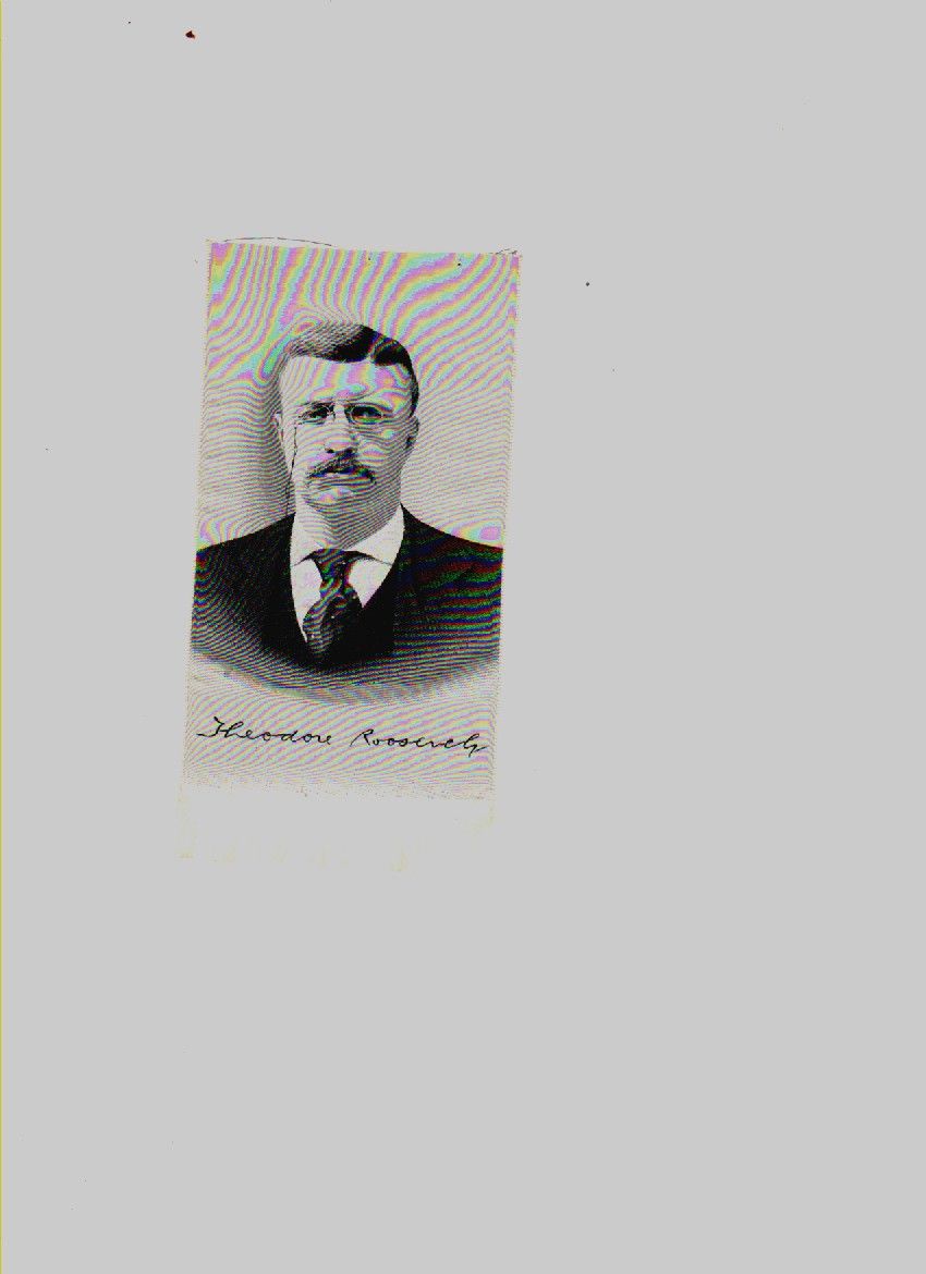 Theodore Roosevelt's Letters to His Children Silk Ribbon Cameo ...