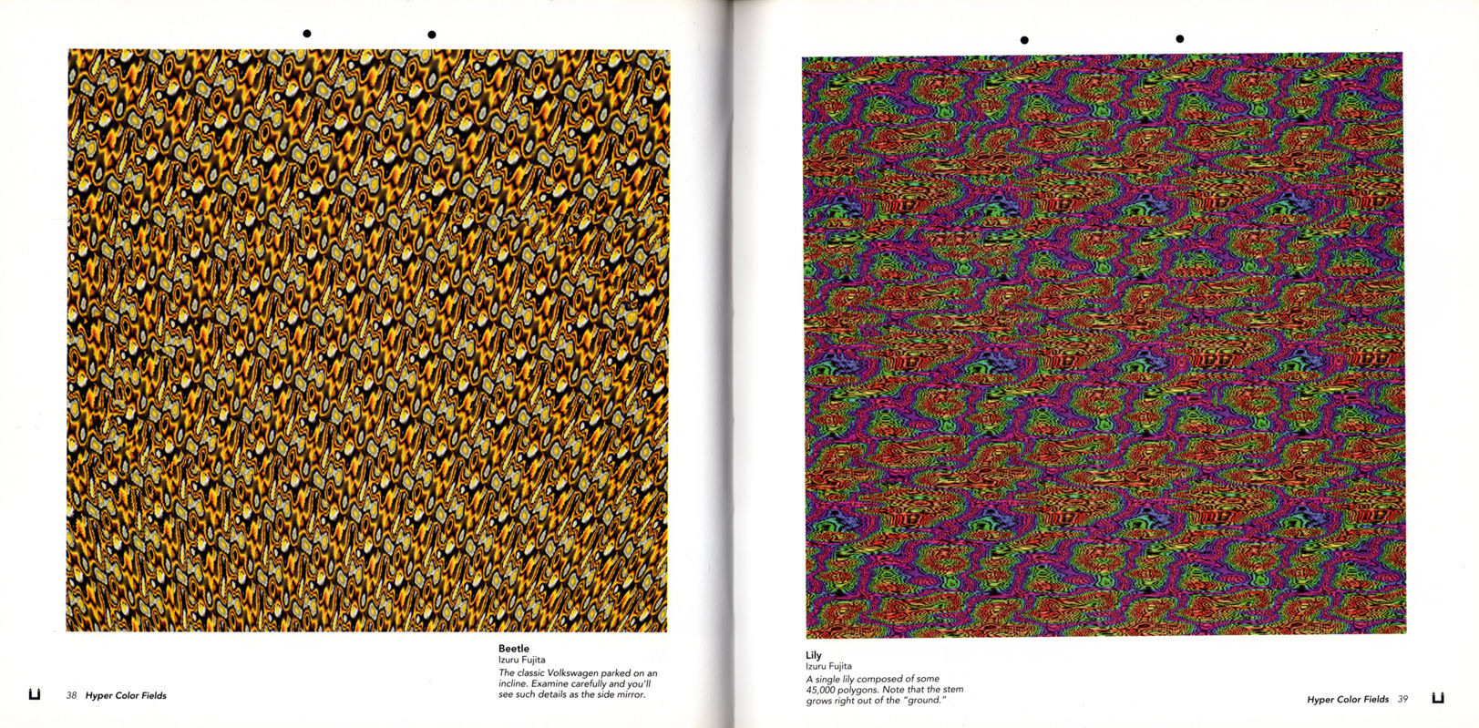 Super Stereogram. First Edition and First Printing by Seiji Horibuchi ...