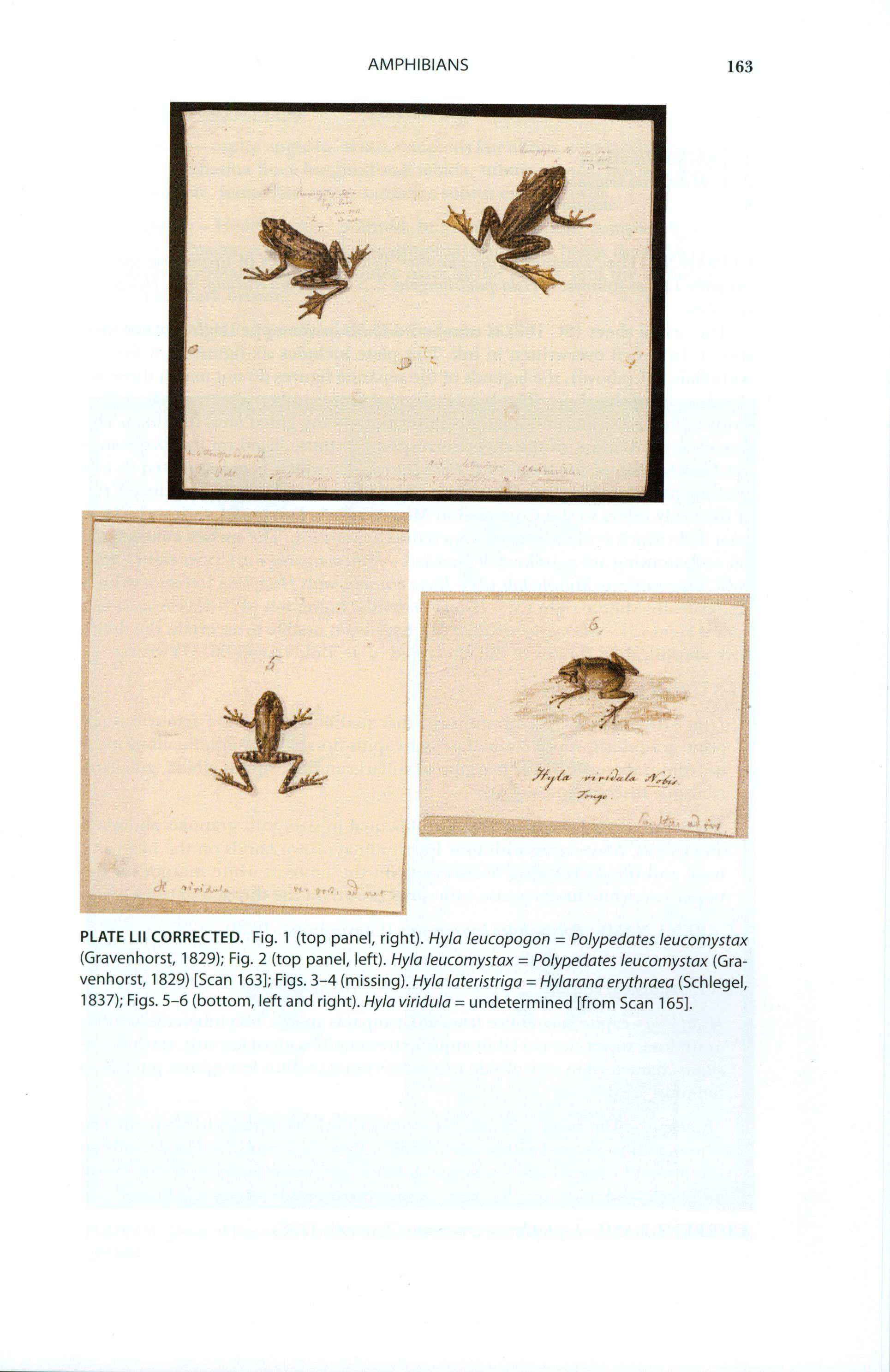 The Dutch Indies Commission and the Herpetological Legacy of Heinrich ...