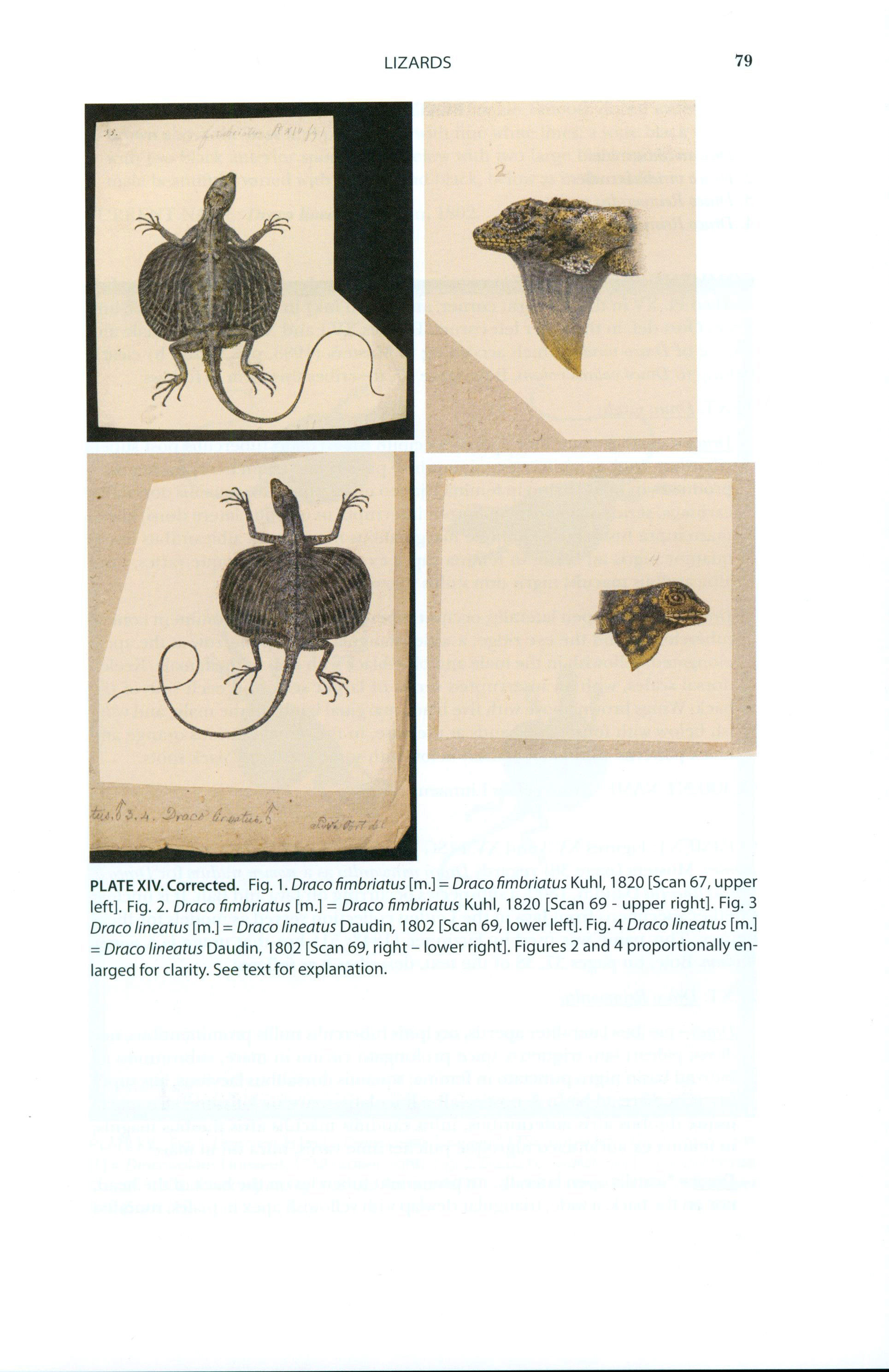 The Dutch Indies Commission and the Herpetological Legacy of Heinrich ...
