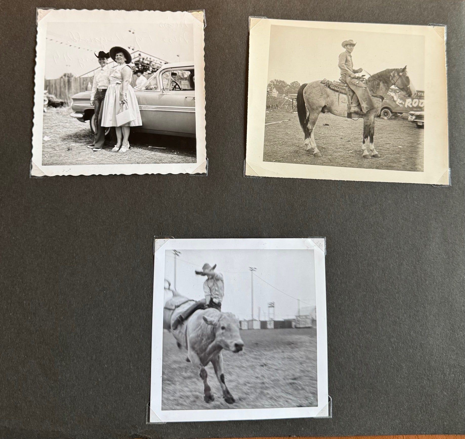 TRAVELING RODEO SHOW c. 1960 PHOTO ALBUM by | | | | Biblio