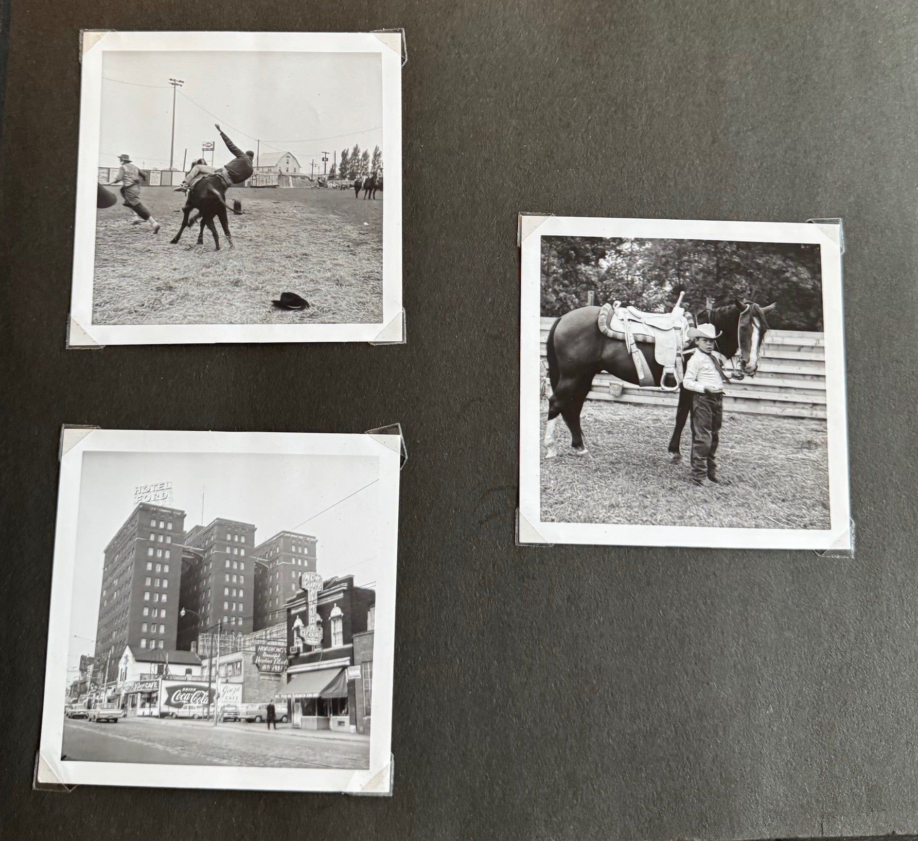 TRAVELING RODEO SHOW c. 1960 PHOTO ALBUM by | | | | Biblio
