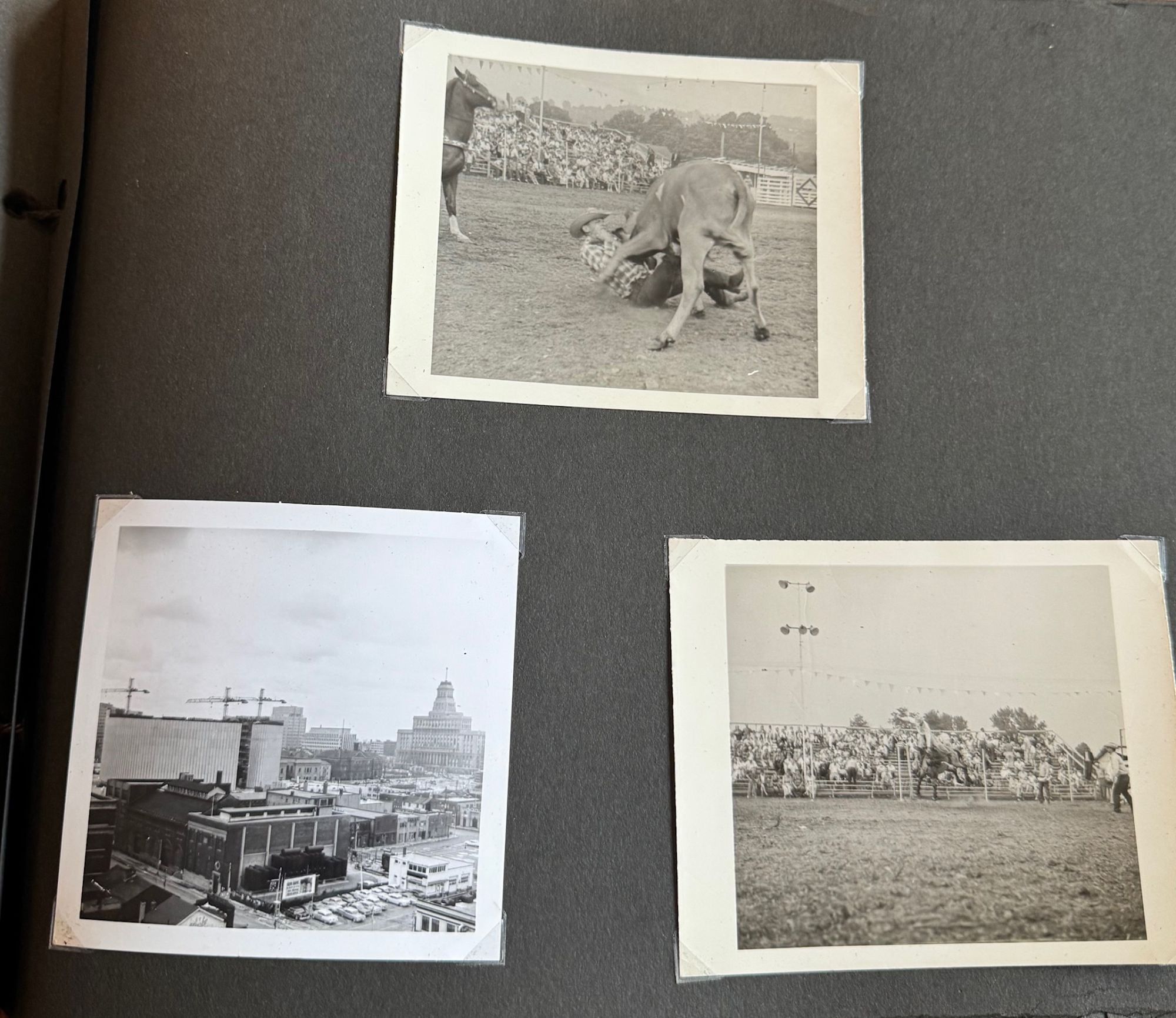 TRAVELING RODEO SHOW c. 1960 PHOTO ALBUM by | | | | Biblio