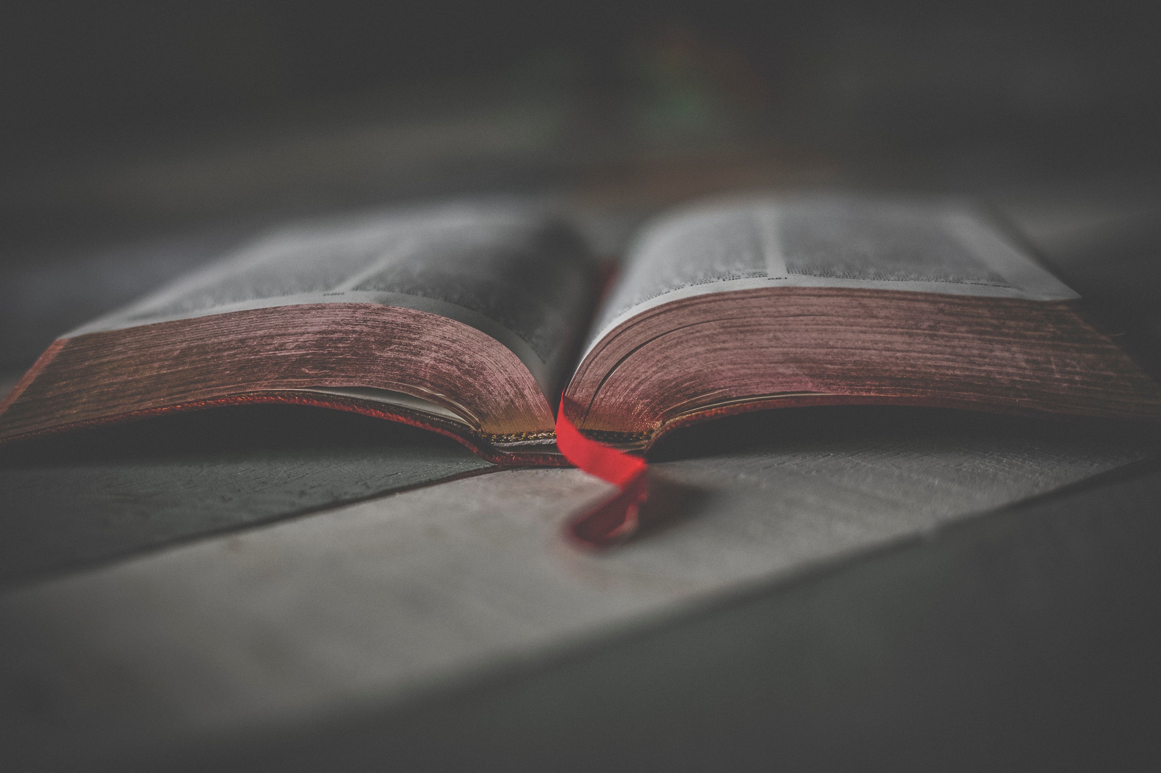 the-answers-book-answers-to-the-12-most-asked-questions-on-genesis