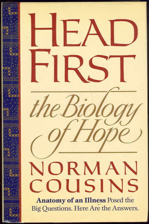 ANATOMY OF AN ILLNESS AS PERCEIVED BY THE PATIENT Reflections on ...