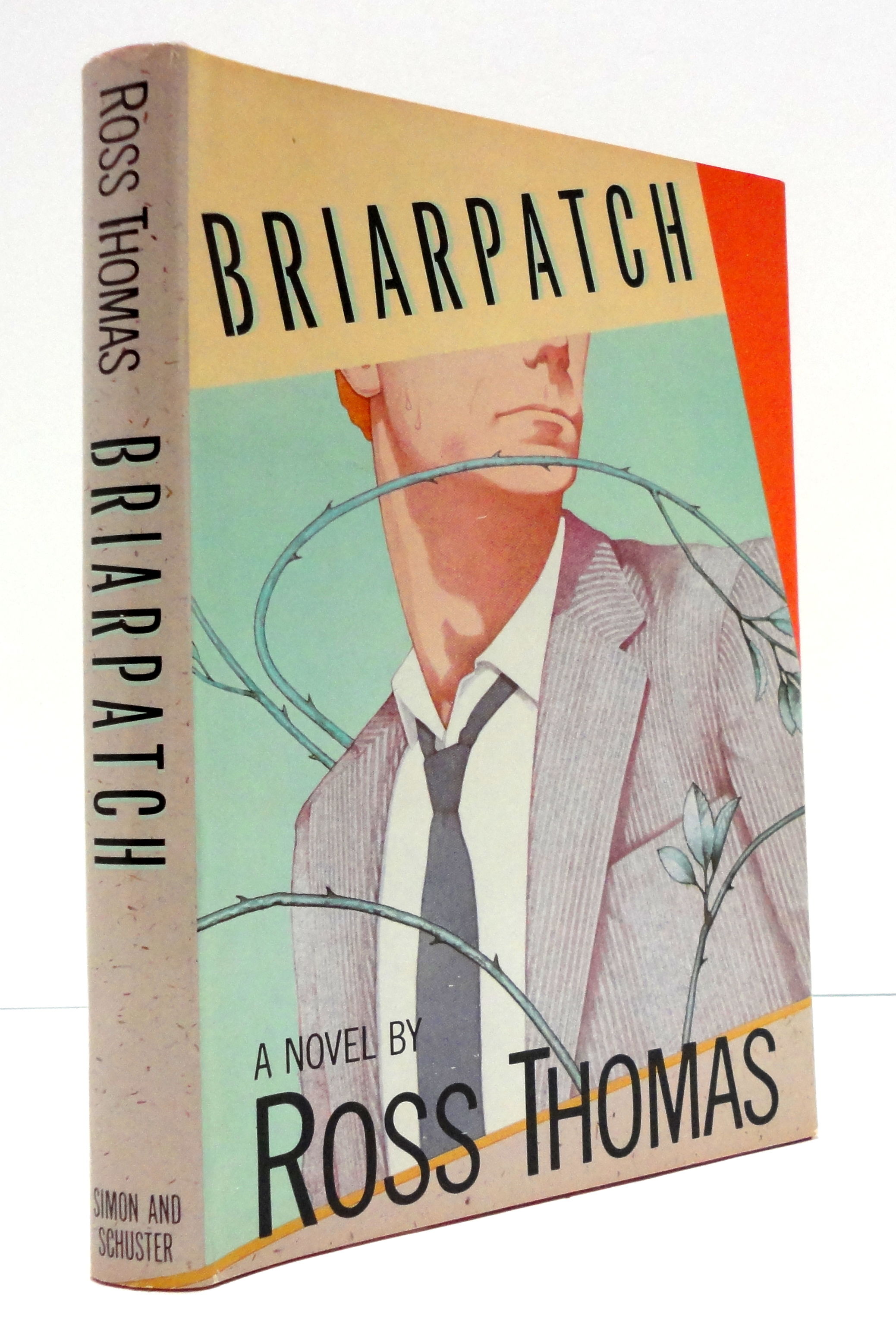 Briarpatch by Thomas, Rosanne Daryl | Hardcover | 1984 | Simon and ...