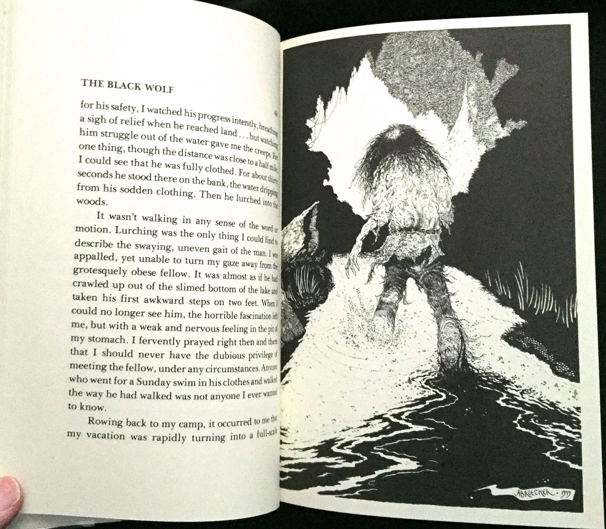 BIBLIO | THE BLACK WOLF; Illustrated by Randy Broecker / Introduction ...