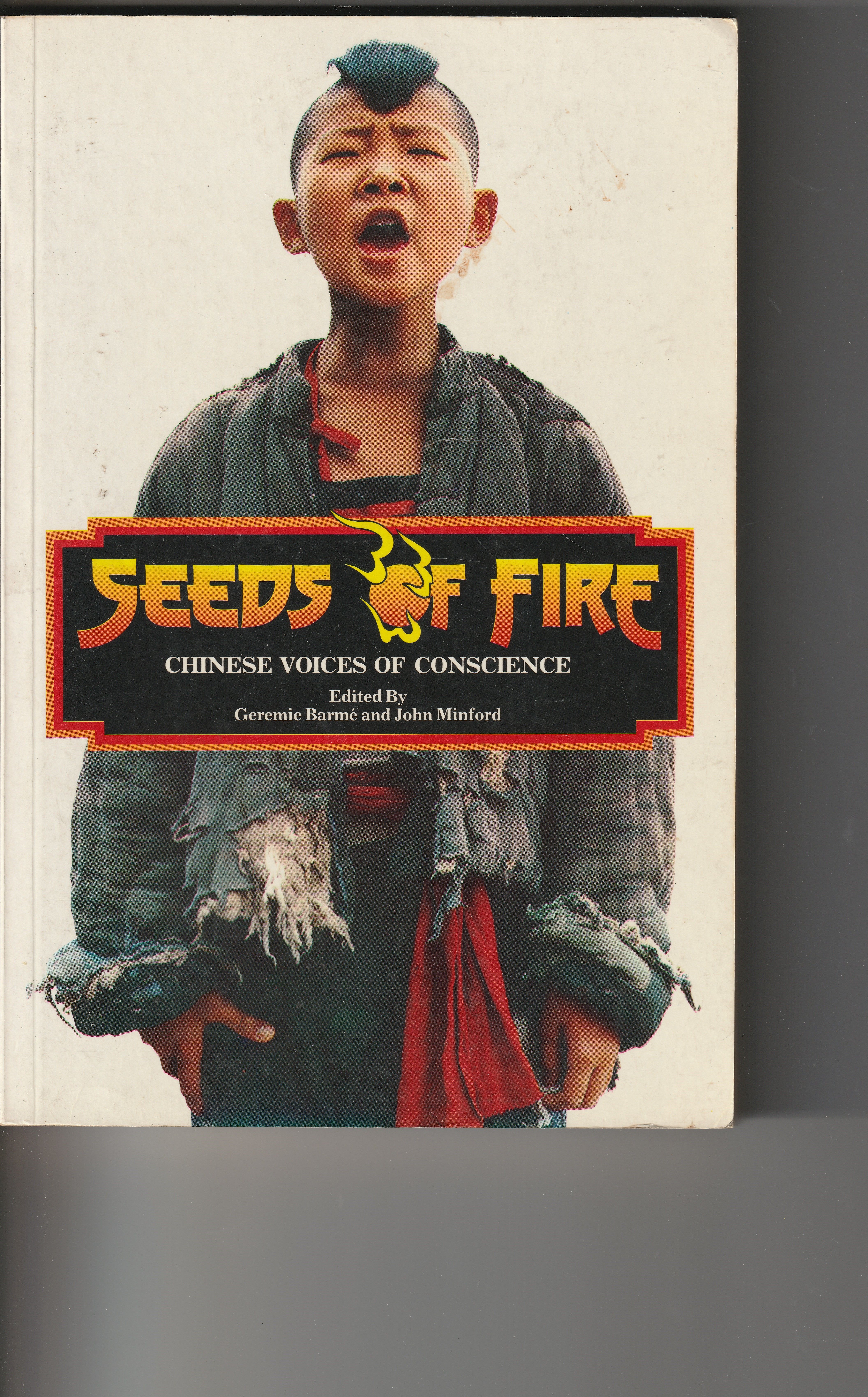 Fire Of Conscience