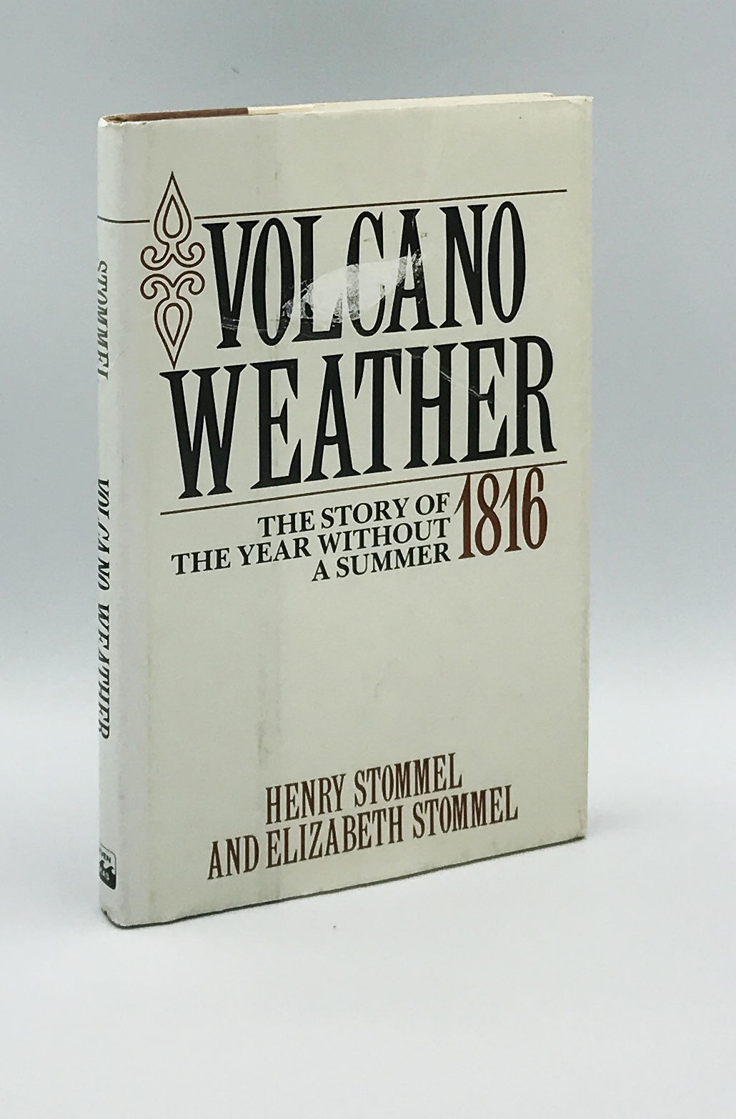 The A Story About A Year Without Summer