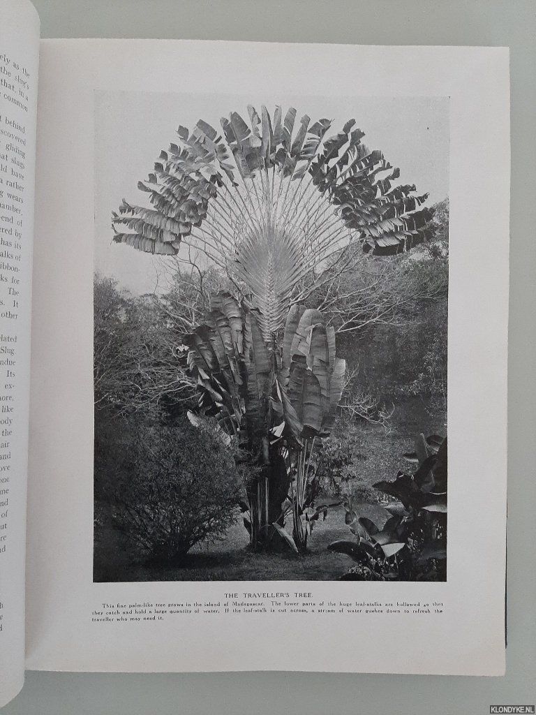Marvels of the Universe. A Popular Work on the Marvels of The Heavens ...
