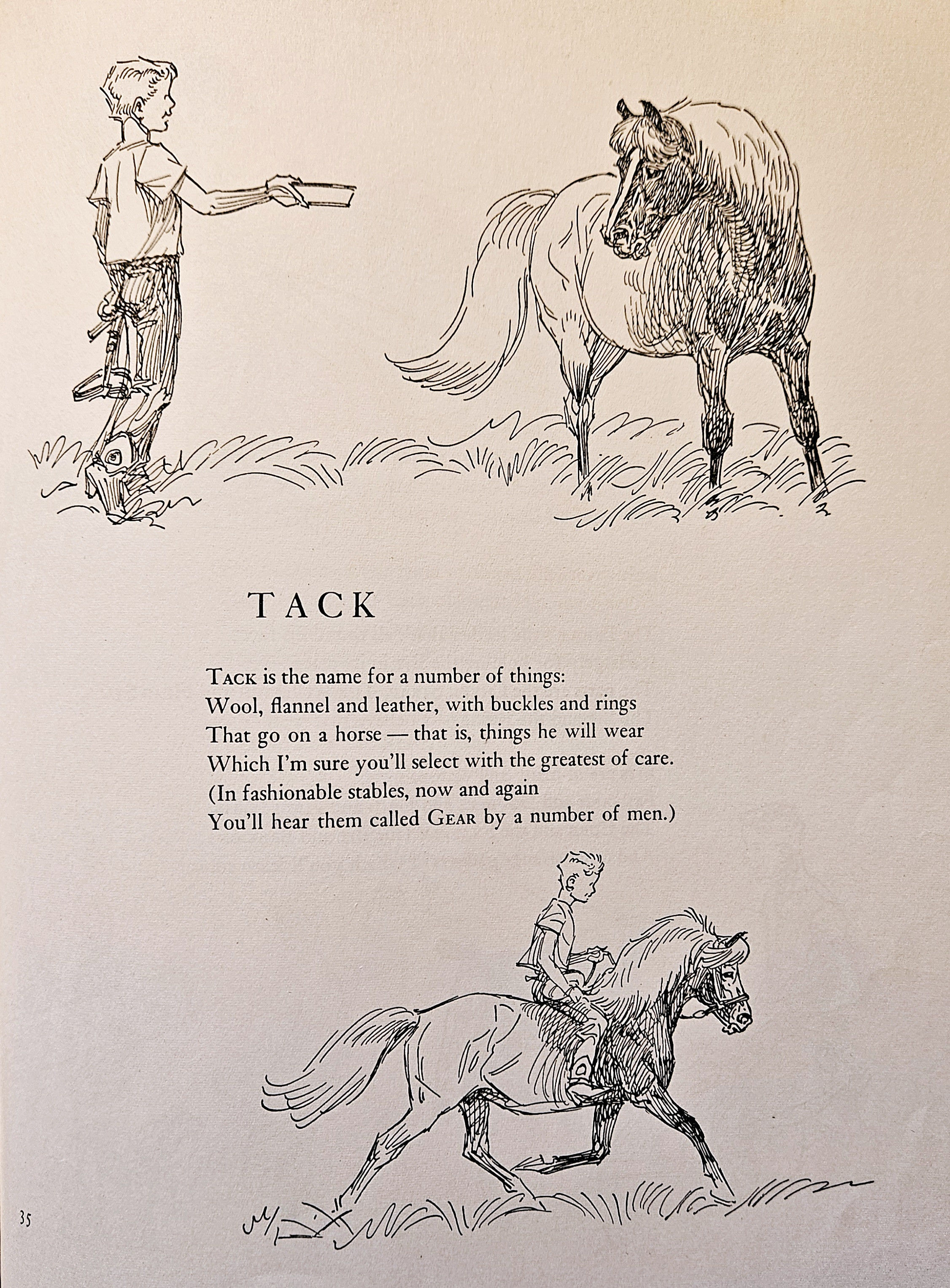 Riding Rhymes for Young Riders by Brown, Paul (Illus); Disston, Harry ...