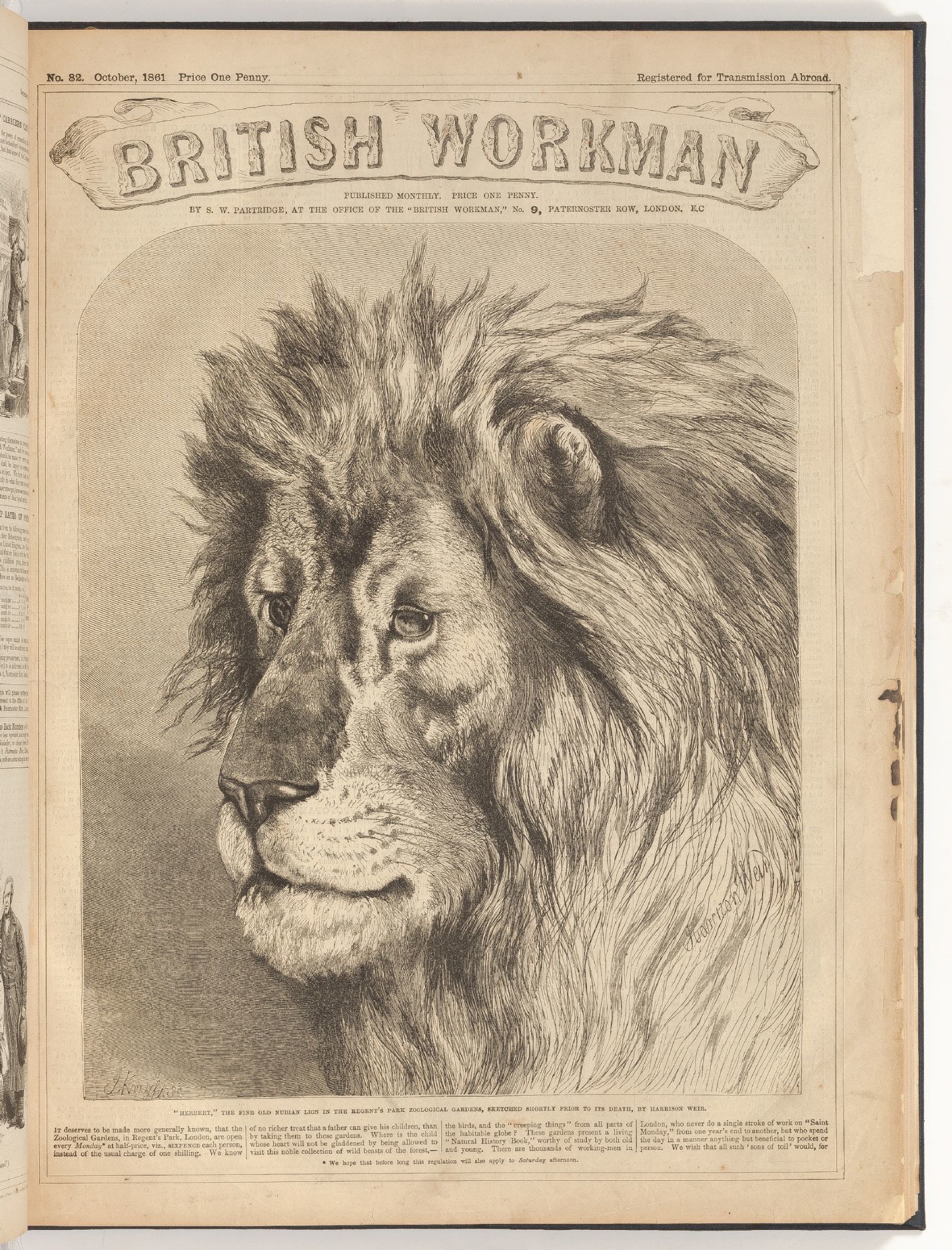 [Monthly Magazine] British Workman: January, 1859; 1861-66 by SMITHIES ...