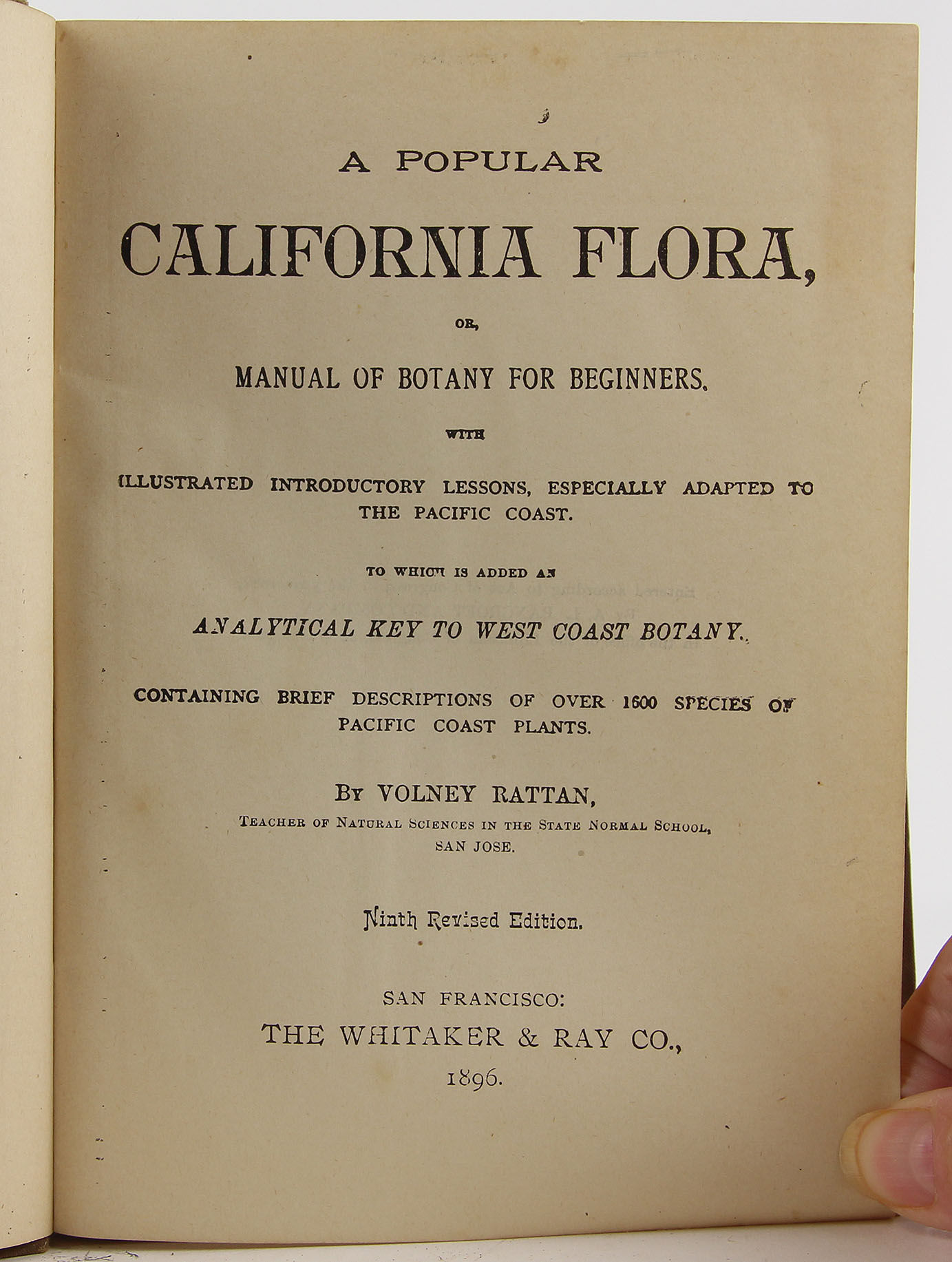 A Popular California Flora by Rattan, Volney | Whitaker & Ray Co | Biblio