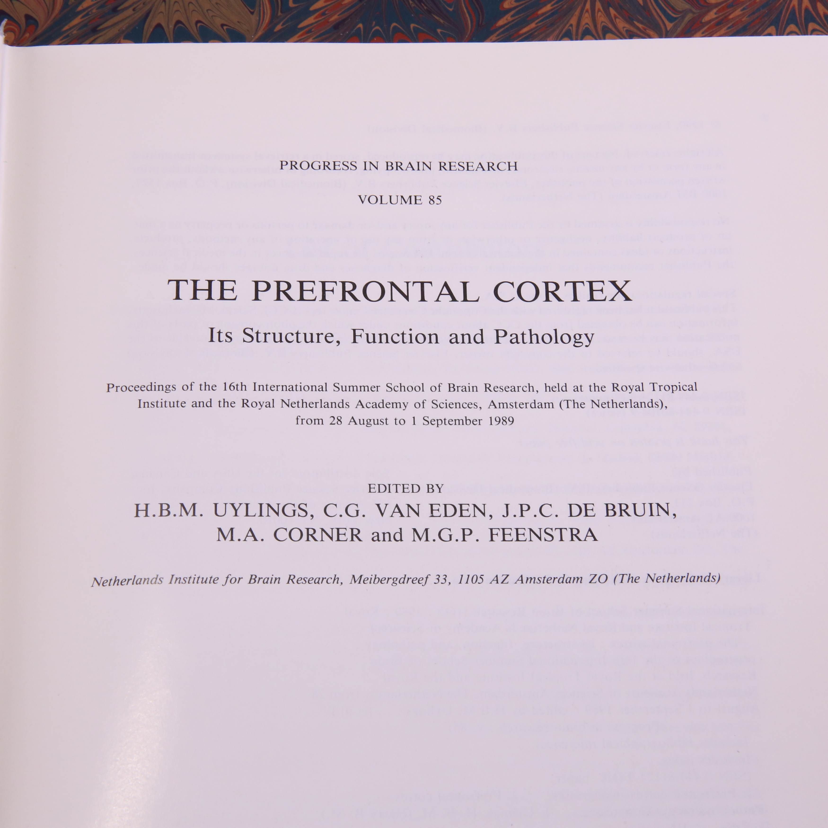 The Prefrontal Cortex: Its Structure, Function and Pathology (Progress ...