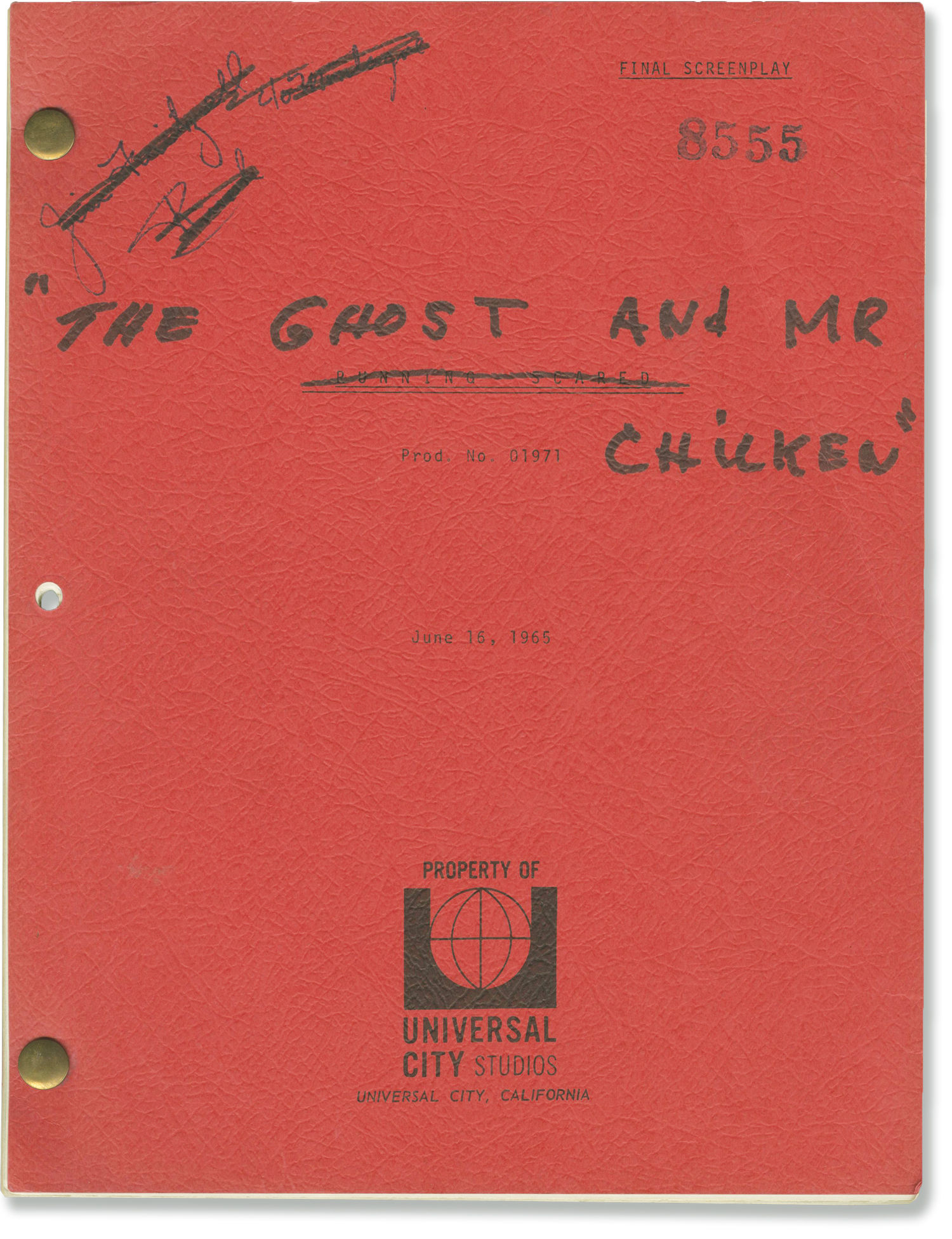 Joan Staley Ghost And Mr Chicken