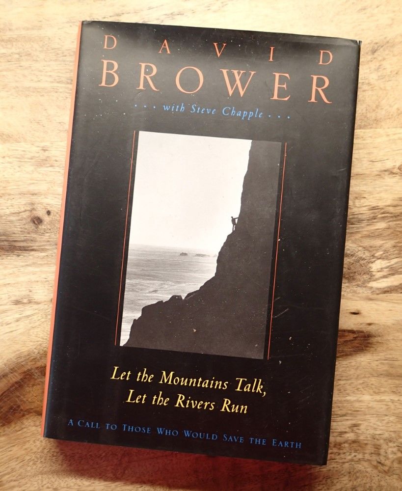 LET THE MOUNTAINS TALK, LET THE RIVERS RUN : A Call to Those Who Would ...