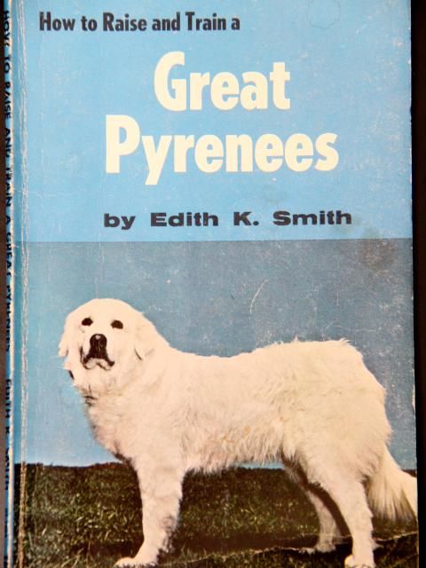 How to Raise and Train a Great Pyrenees by Edith K. Smith - Paperback ...