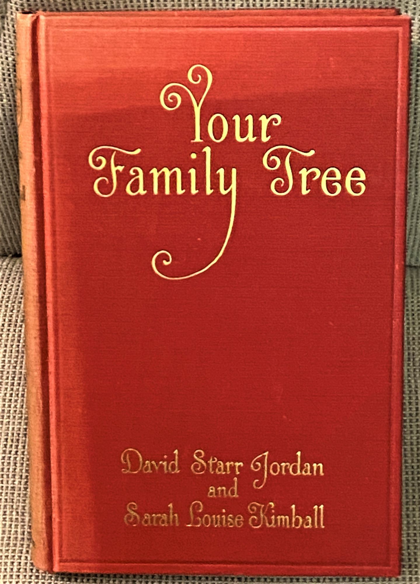 Your Family Tree by David Starr Jordan and Sarah Louise Kimball ...