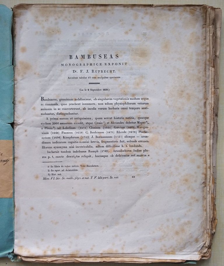 Bambuseas Monographice Exponit by Ruprecht, Franz Joseph | Paperback ...