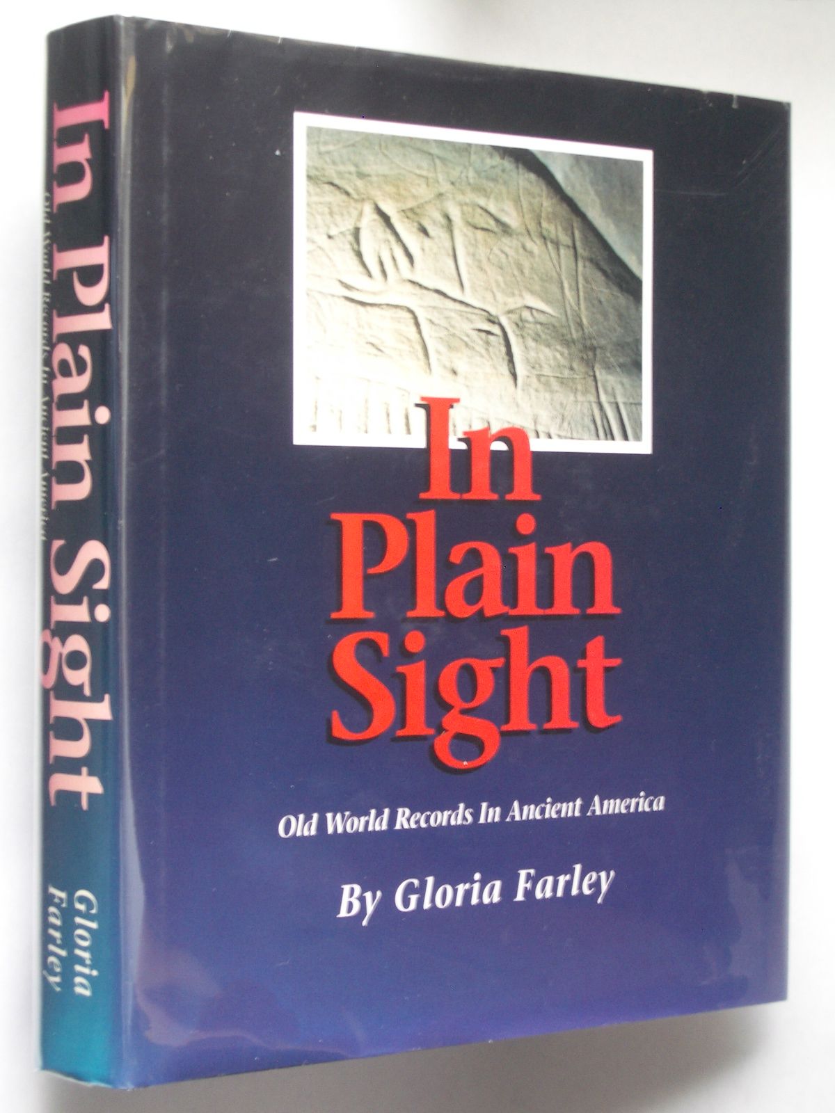 In Plain Sight: Old World Records in Ancient America by Farley, Gloria ...