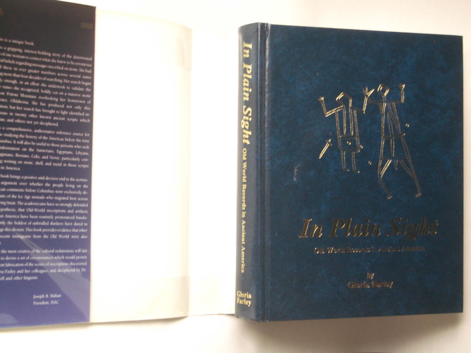 In Plain Sight: Old World Records in Ancient America by Farley, Gloria ...