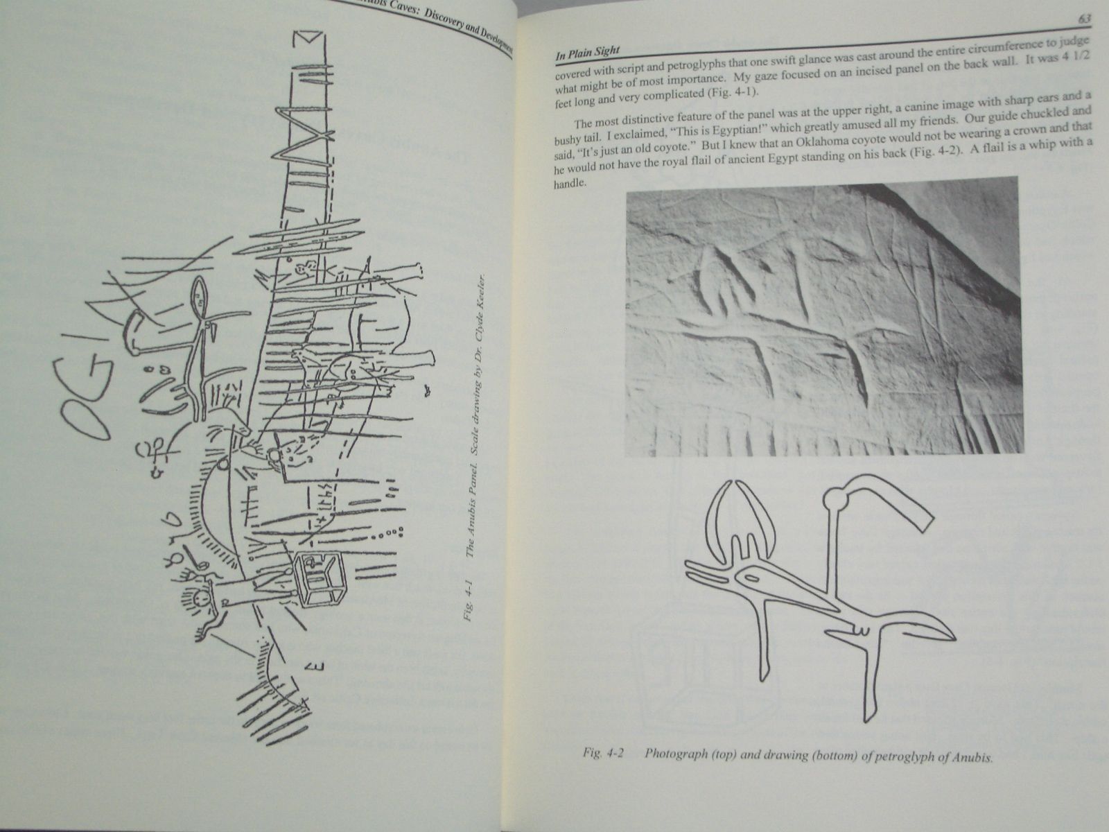 In Plain Sight: Old World Records in Ancient America by Farley, Gloria ...